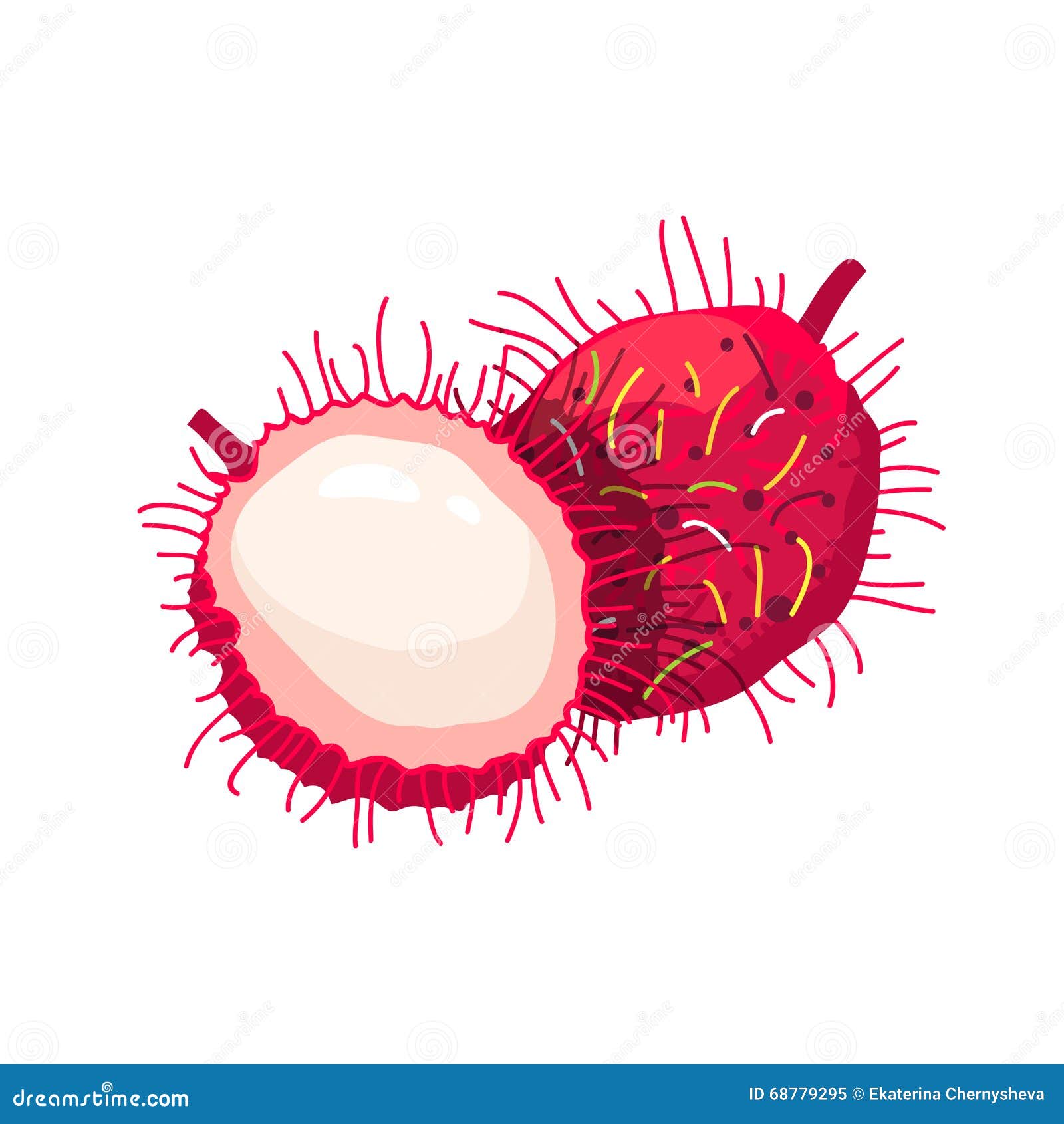Rambutan Aka Hairy Fruit Or Sapindaceae Exotic Fruit From Asian Symbol ...