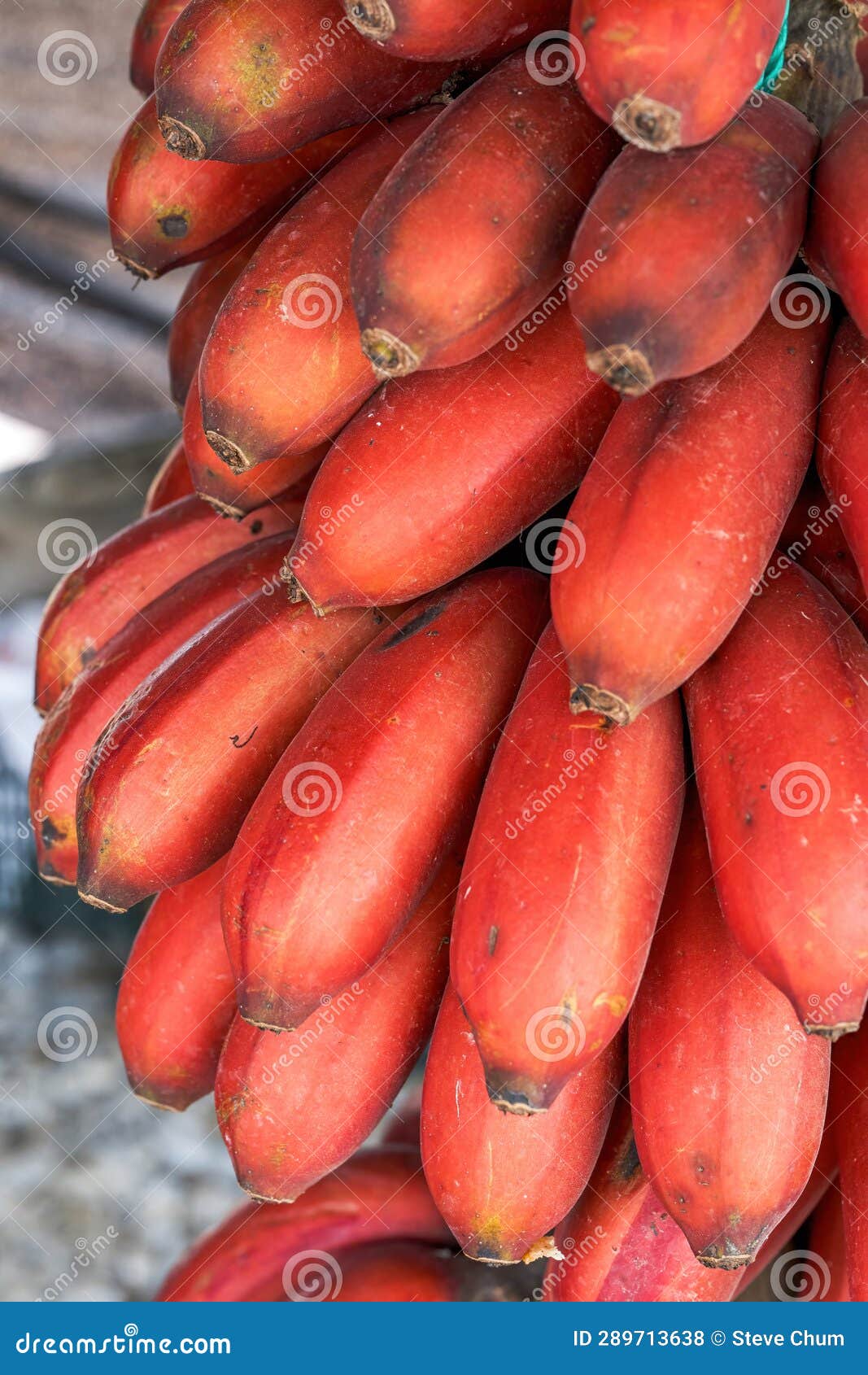 Tropical Fruit, Red Ripe Red Banana Stock Photo - Image of cuisine ...