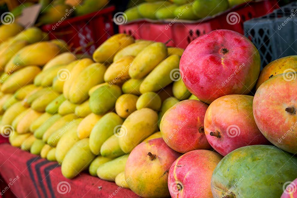 Tropical Fruit, Ripe Red Mango Close-up Stock Photo - Image of branch ...