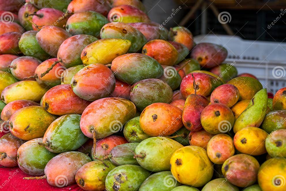 Tropical Fruit, Ripe Red Mango Close-up Stock Image - Image of flower ...