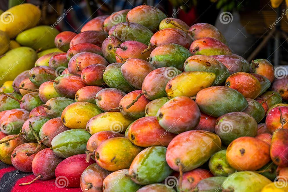 Tropical Fruit, Ripe Red Mango Close-up Stock Image - Image of flower ...