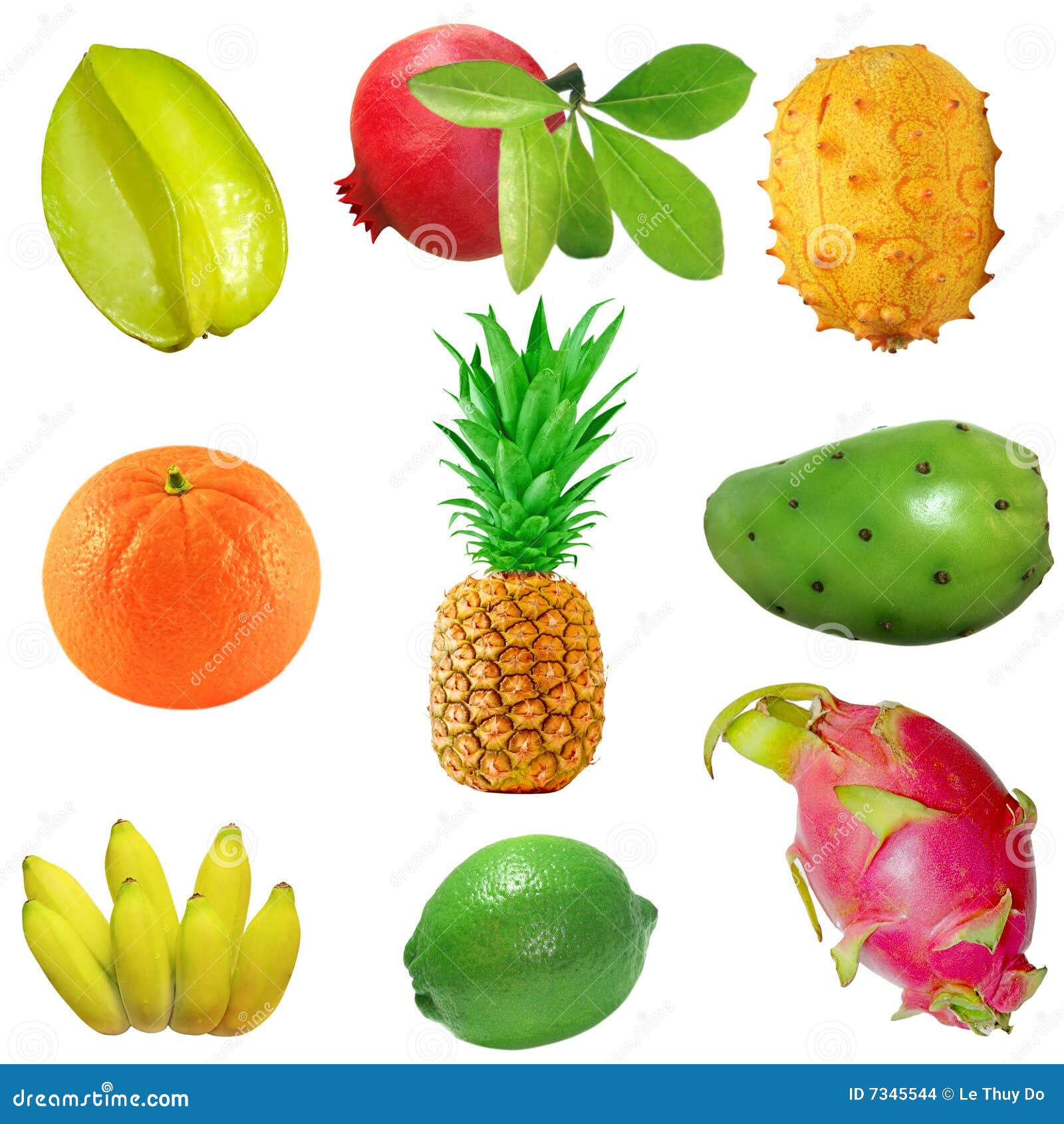 Tropical Fruit Set stock photo. Image of five, dieting - 7345544