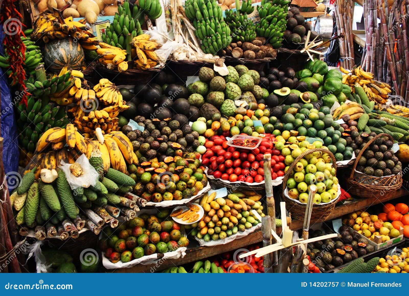 Fruit Stand Royalty-Free Stock Image | CartoonDealer.com #10020244