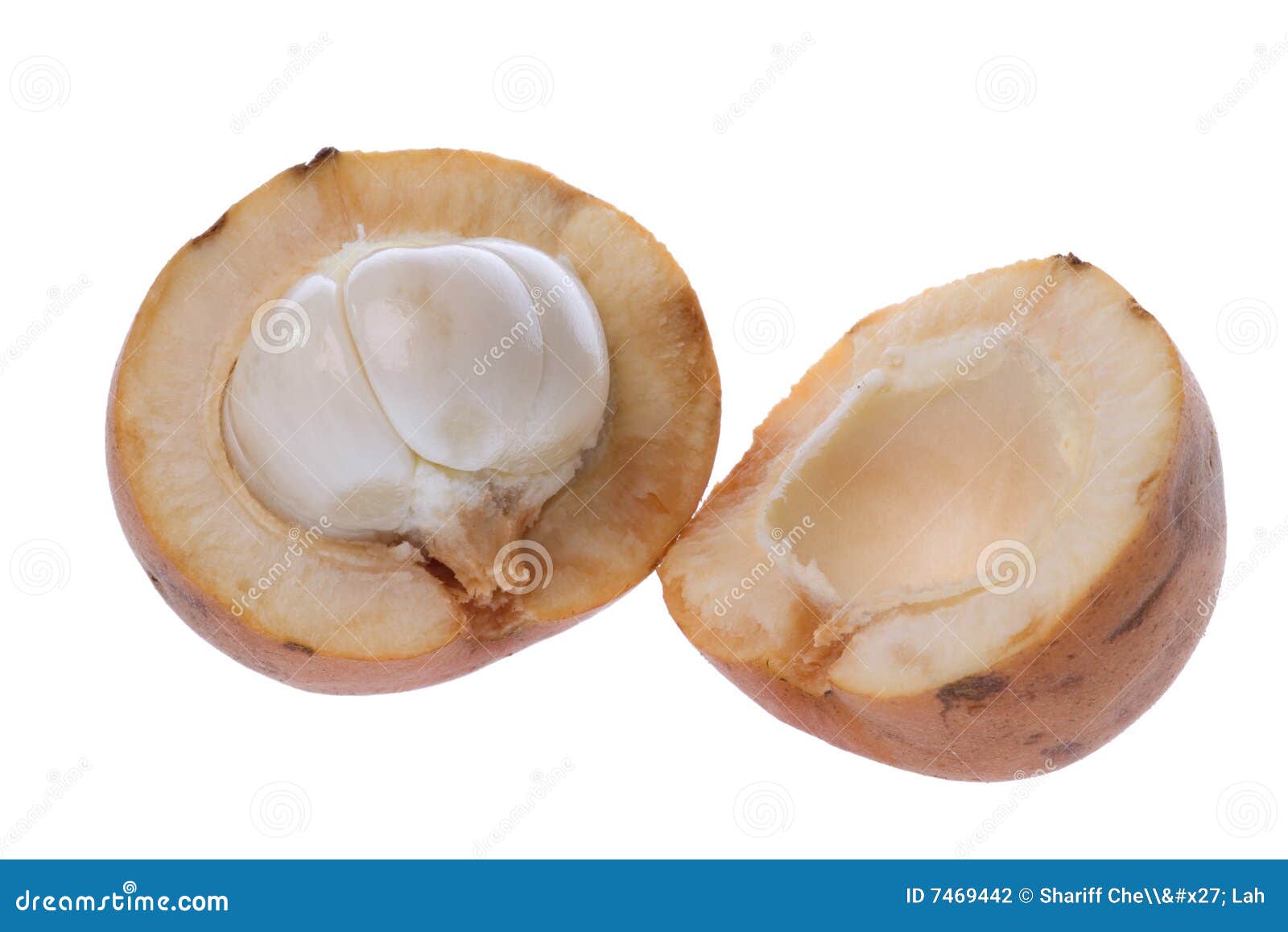 Tropical Fruit Tampoi Isolated Stock Photo - Image of diet, tasty: 7469442