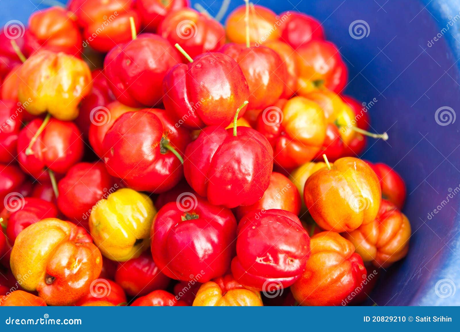 Tropical Fruit,Thailand Call Sherry Stock Photo - Image of asian, green ...