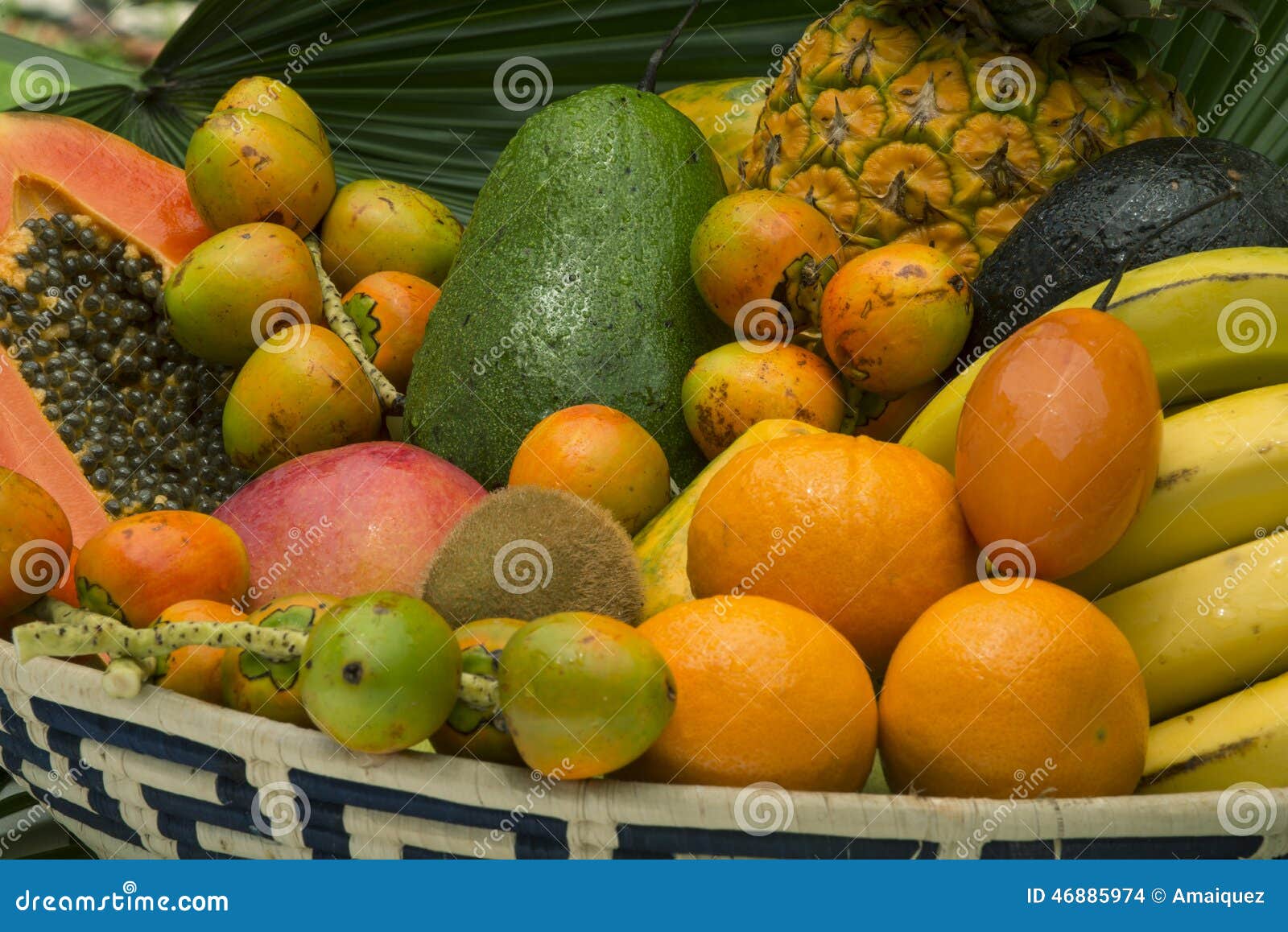 Tropical fruits stock photo. Image of horizontal, kiwi - 46885974