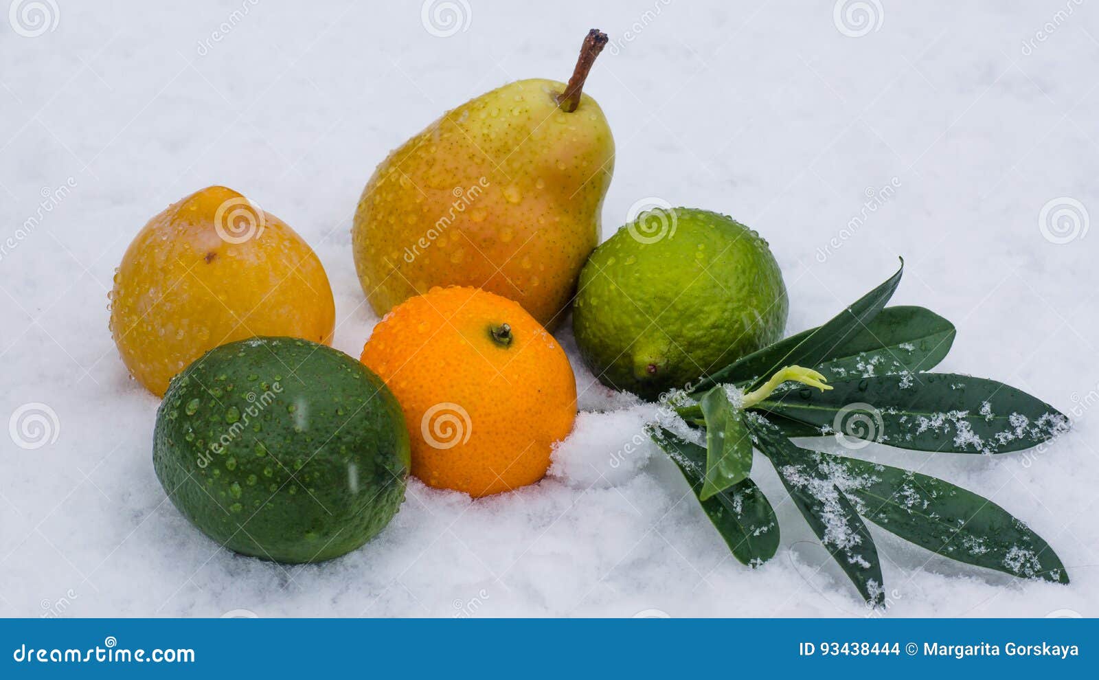 Tropical Fruits on the Snow Stock Photo - Image of glossy, fresh: 93438444