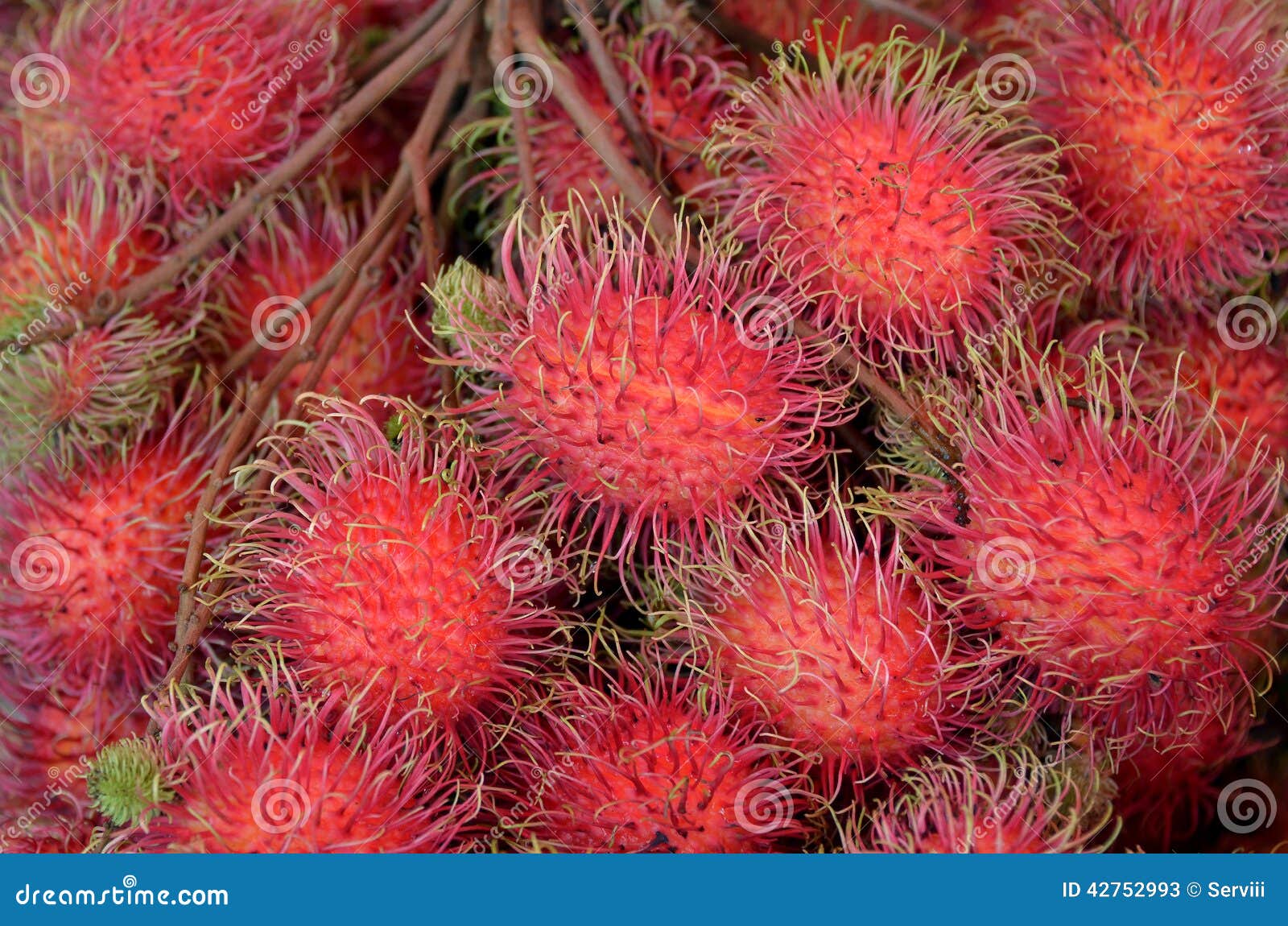 Tropical Fruits Sweet Taste Red Shell Stock Image - Image of drink ...