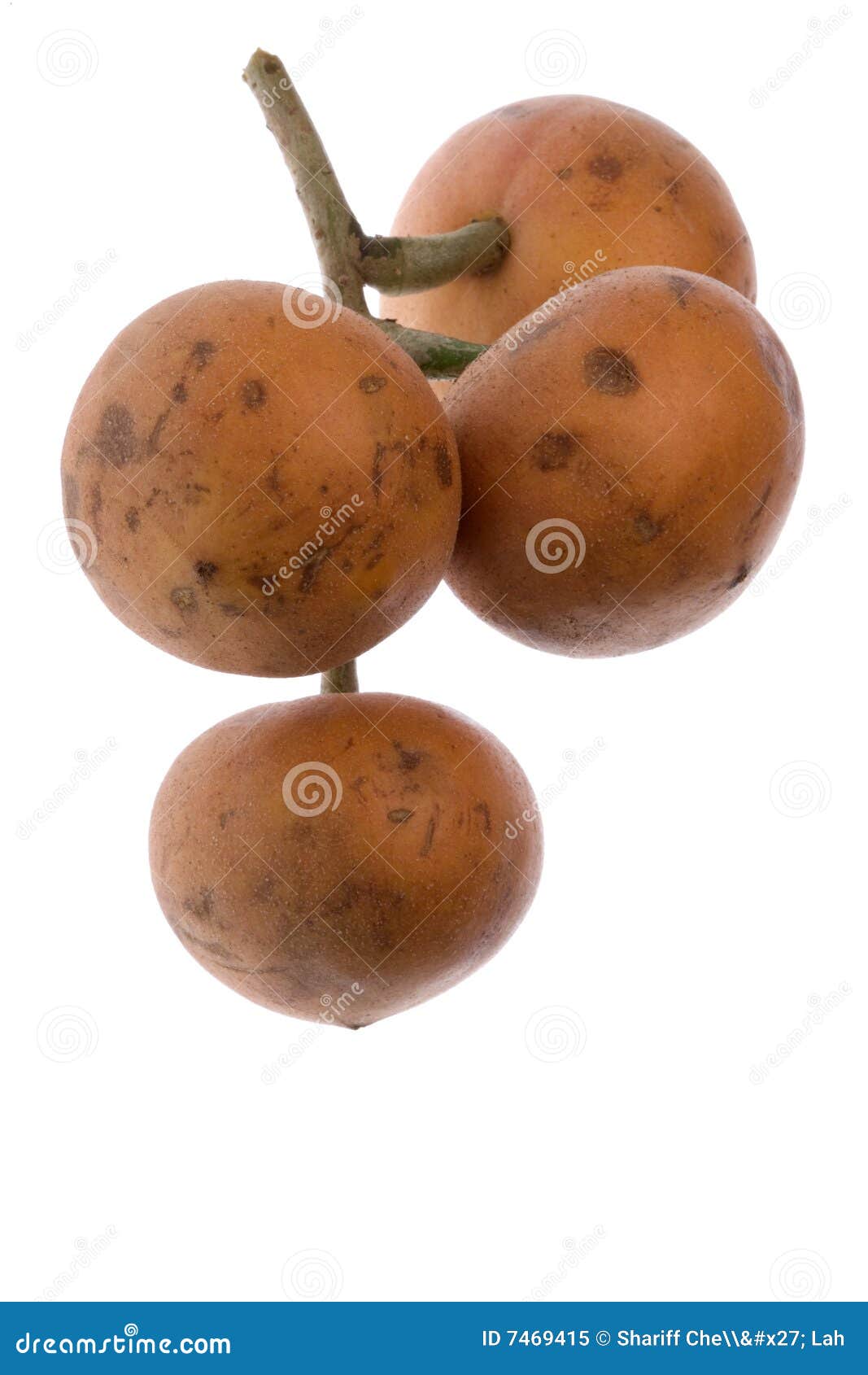 Tropical Fruits Tampoi Isolated Stock Image - Image of delicious ...