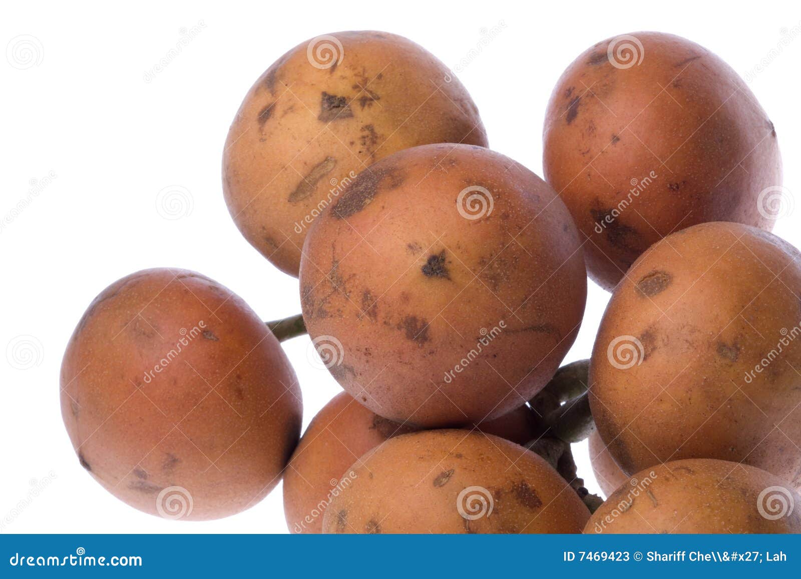 Tropical Fruits Tampoi Isolated Stock Image - Image of fruit, dessert ...