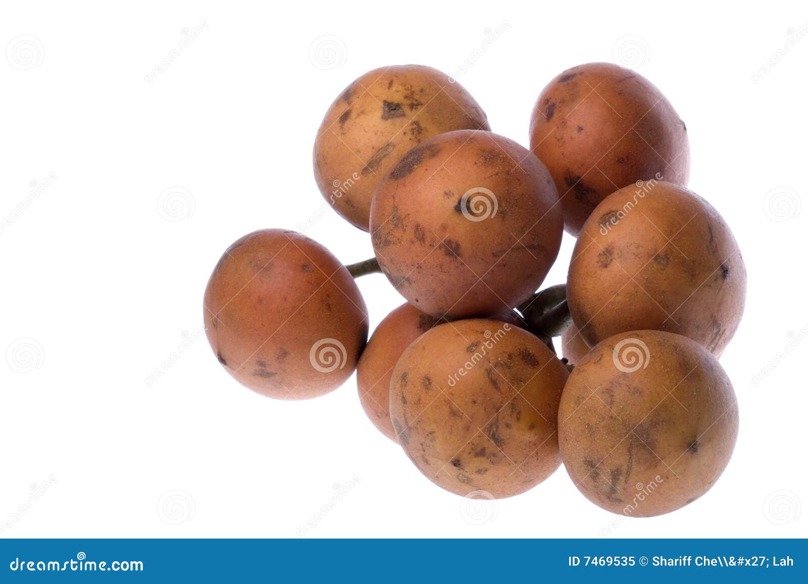Tropical Fruits Tampoi Isolated Stock Image - Image of diet, macro: 7469535