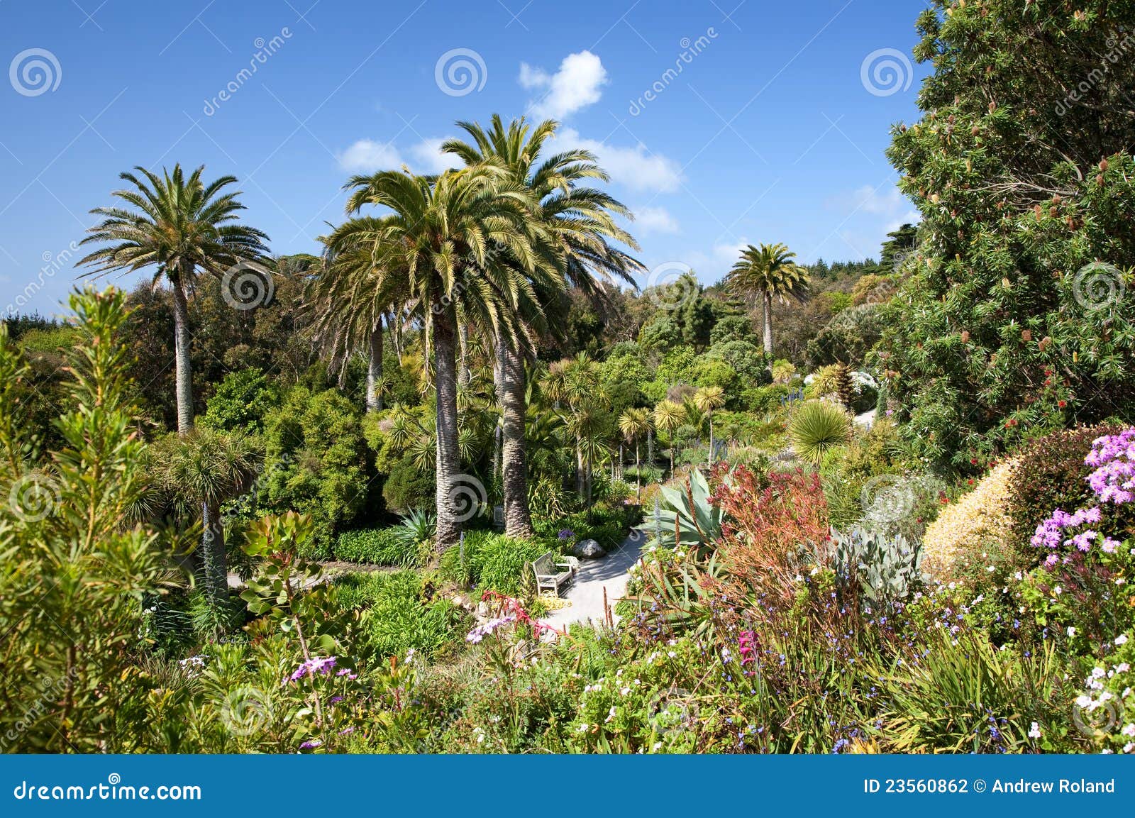 Tropical garden stock photo. Image of united, tropical - 23560862