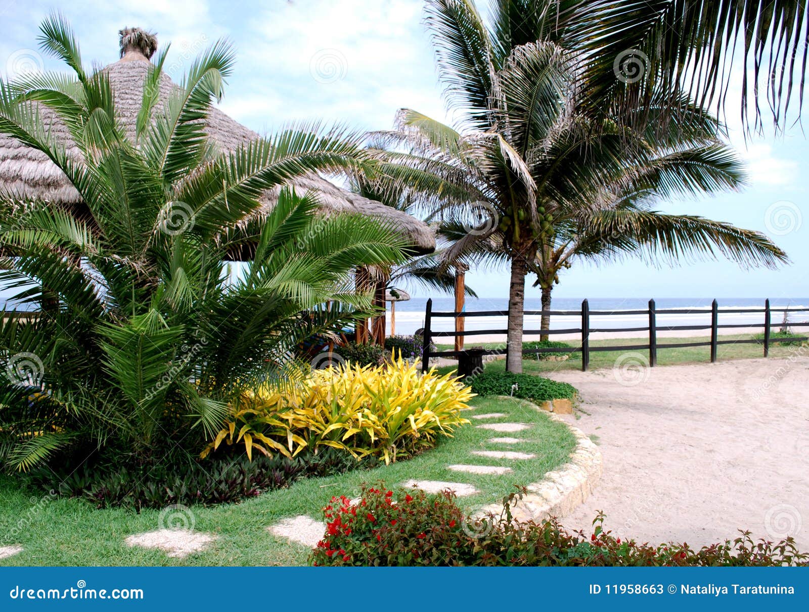 Tropical Garden in the Beach Stock Image - Image of tropical, beach ...