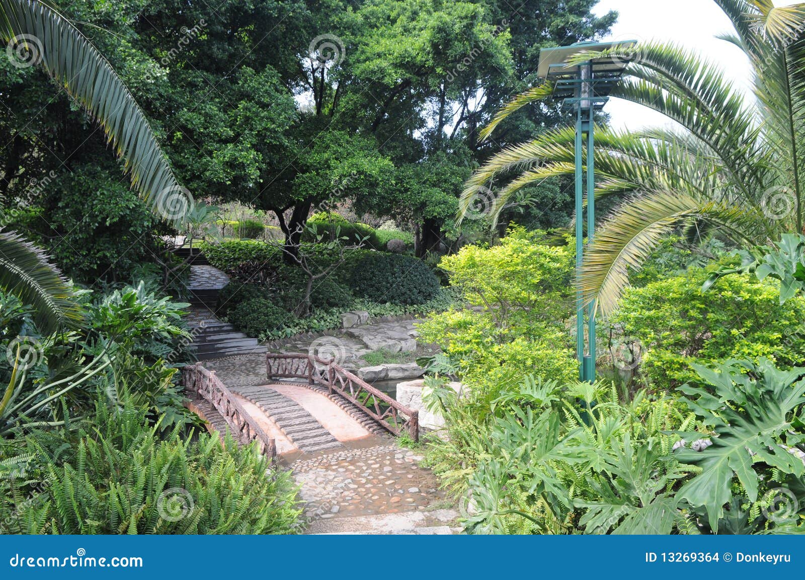 Tropical garden bridge stock photo. Image of lamp, park - 13269364