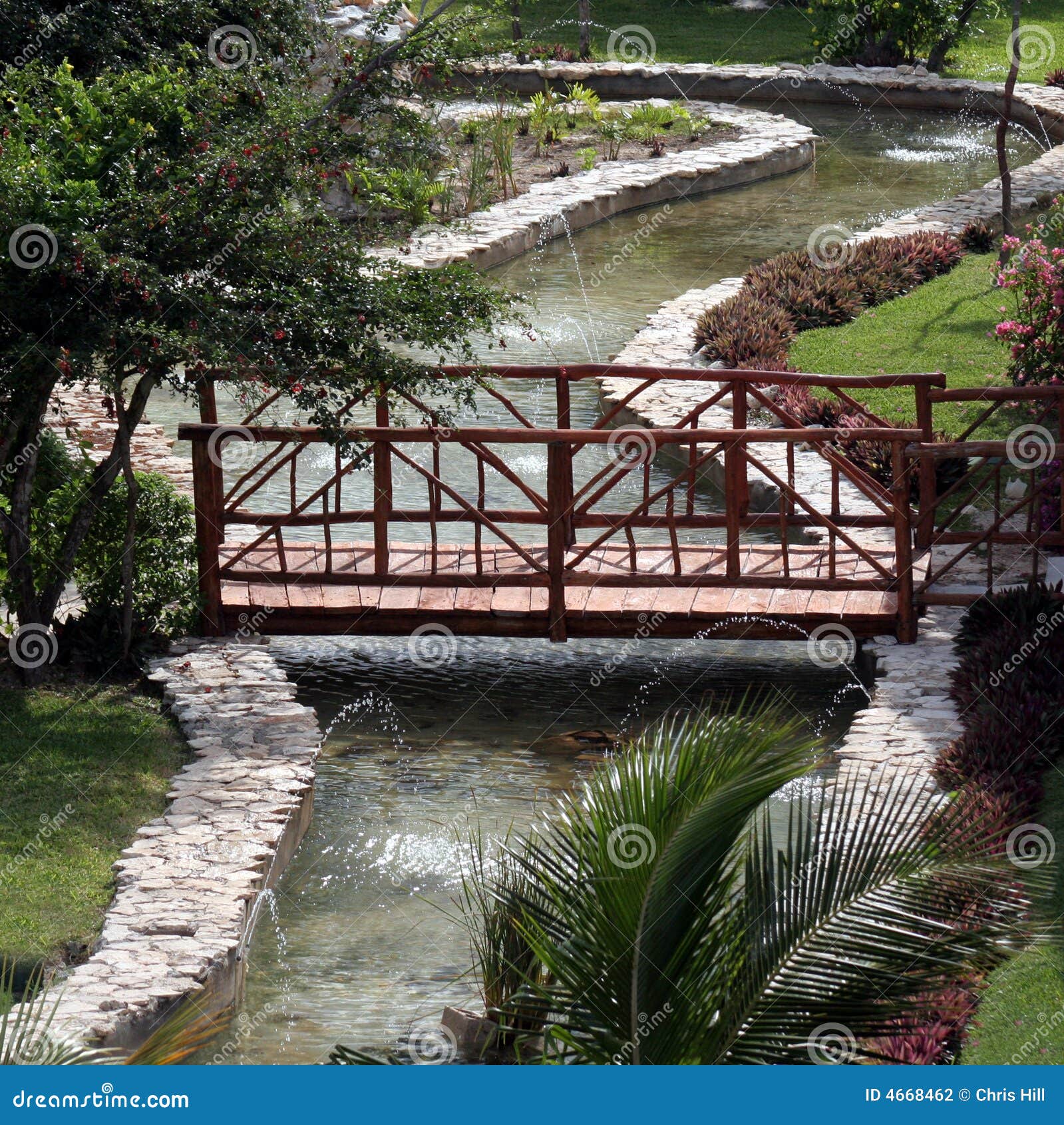Tropical Garden Bridge stock photo. Image of trees, heat - 4668462