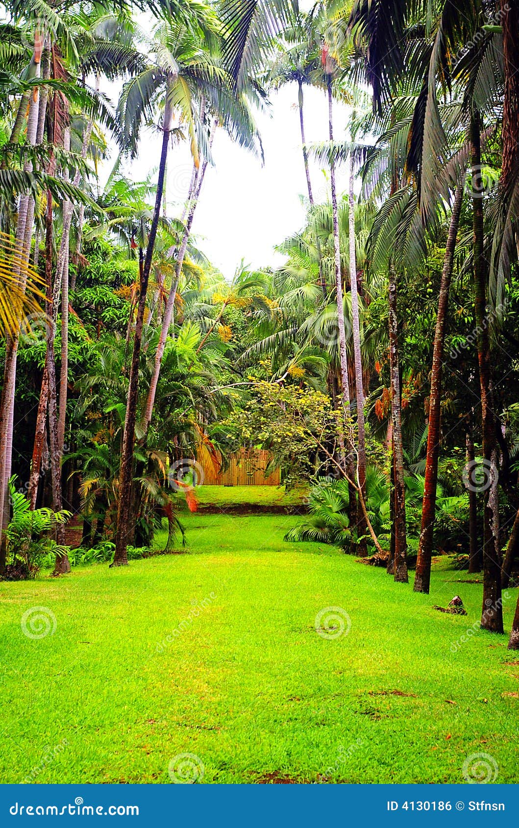 Tropical Garden with Palm Trees and Rendered with Stock Photo - Image ...