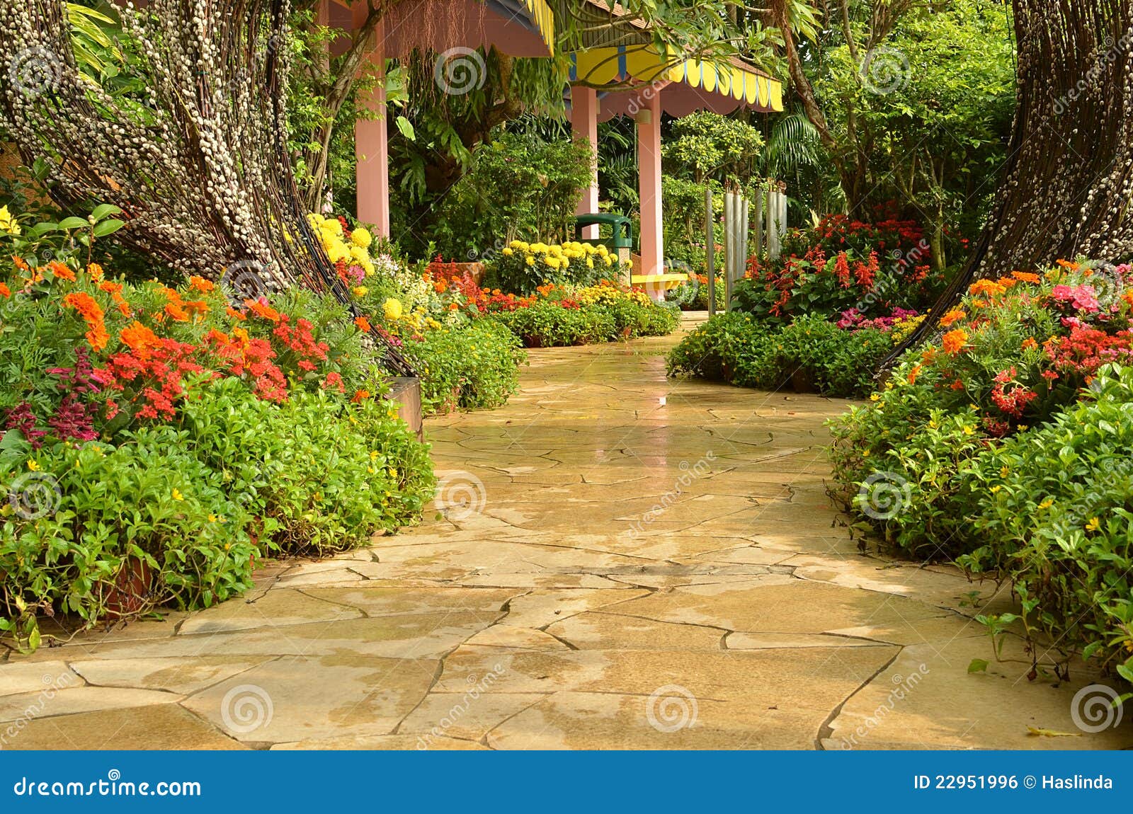Tropical Garden Path stock photo. Image of nature, stone - 22951996