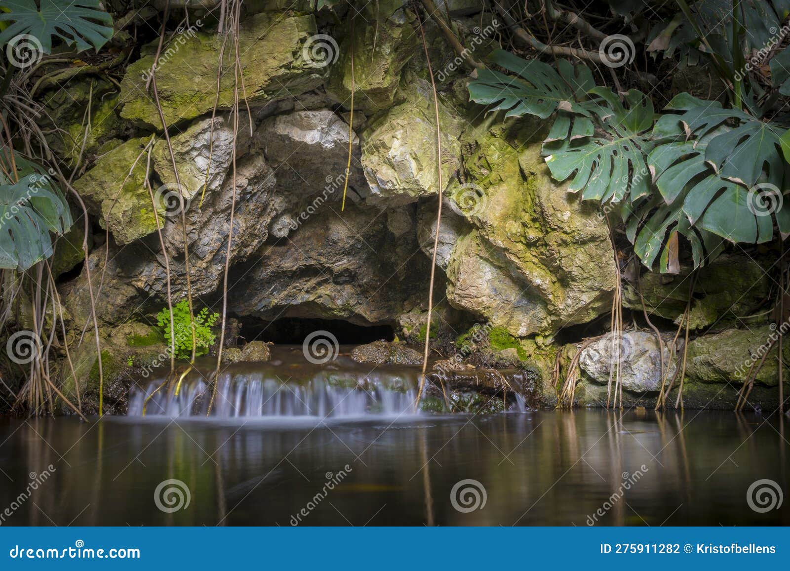Tropical Garden Pond with Waterfall and Rock Wall Stock Photo - Image ...