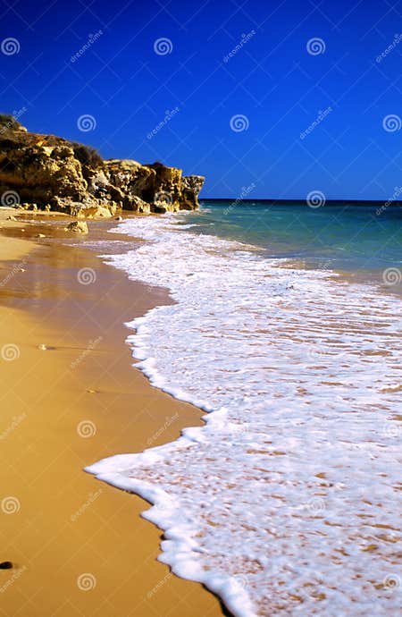 Tropical golden beach stock photo. Image of golden, beaches - 129516