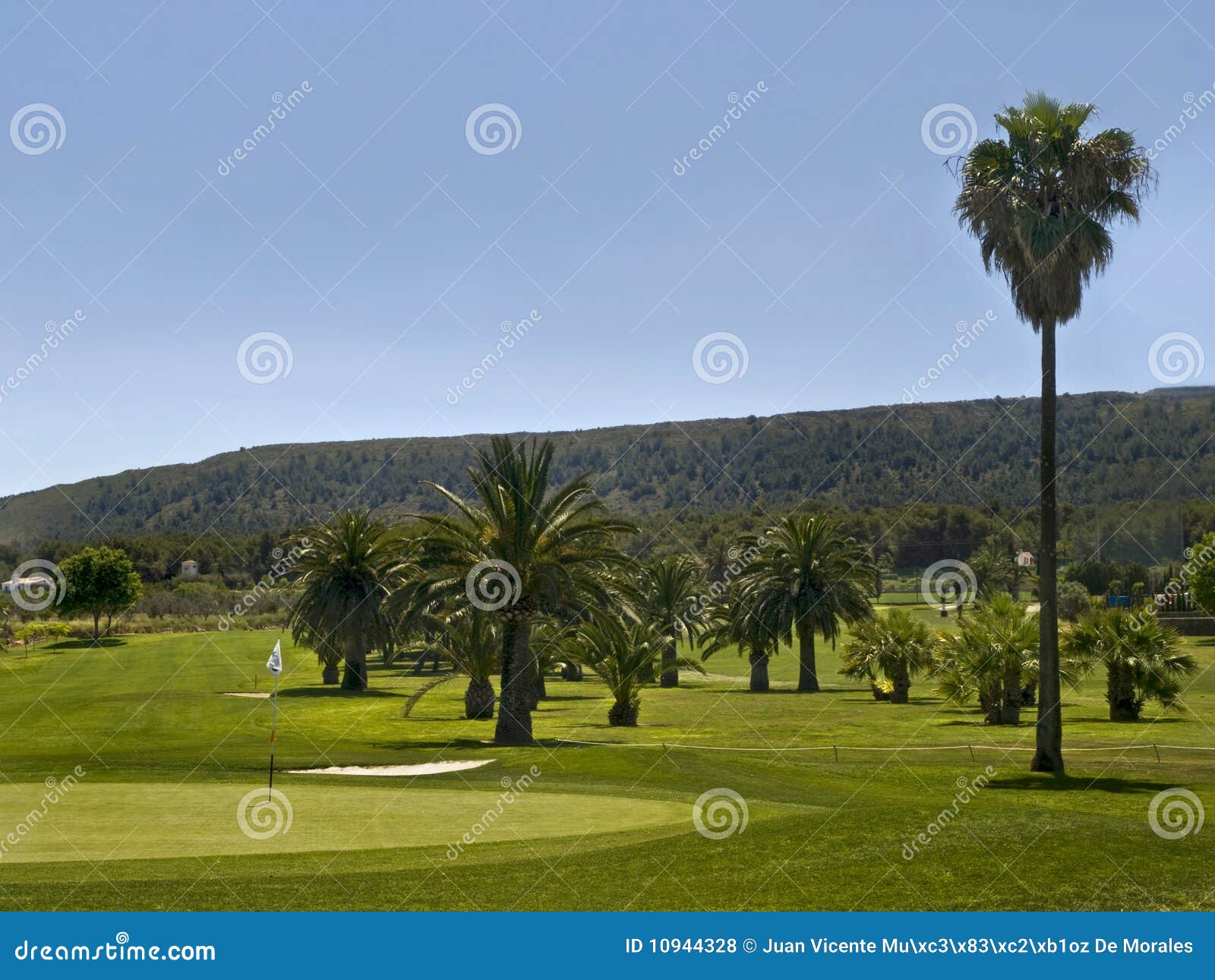 Tropical Golf Course stock photo. Image of tree, leisure - 10944328
