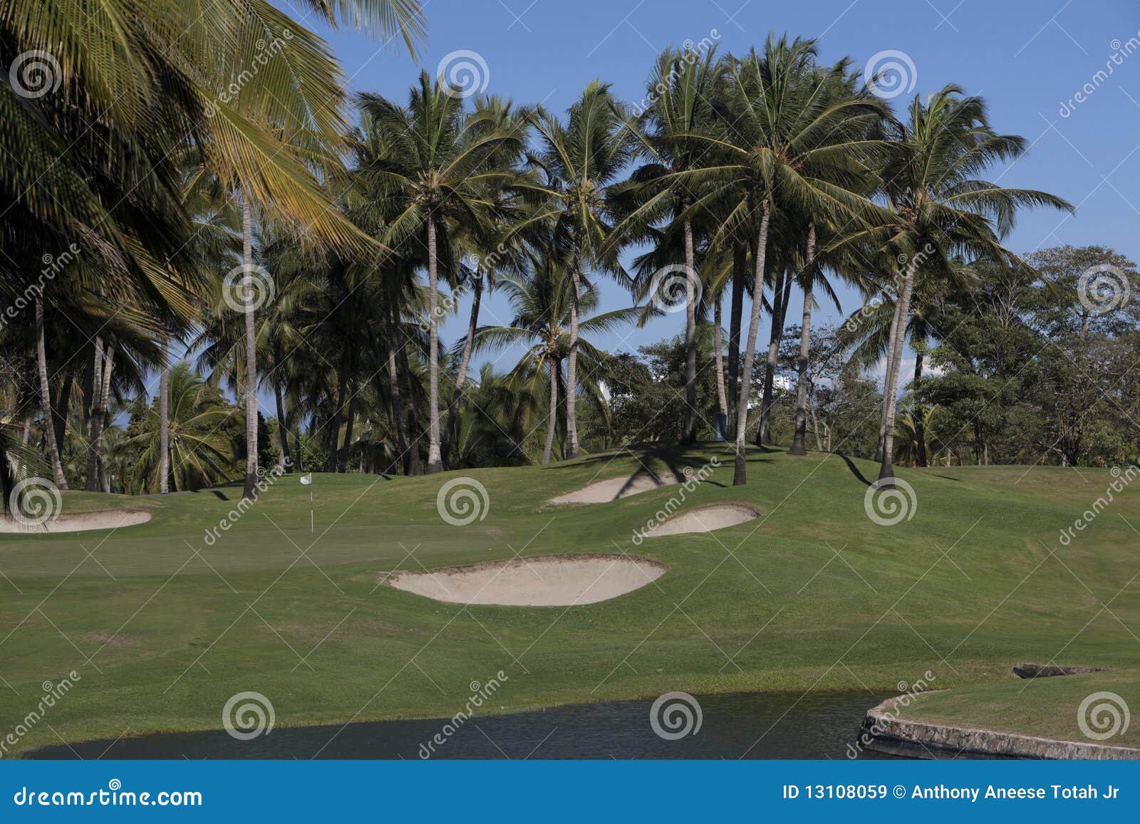 Tropical Golf Course stock image. Image of vacation, travel - 13108059
