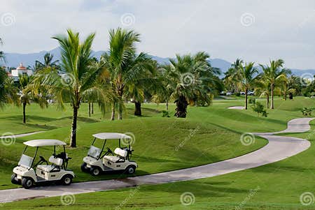 Tropical Golf Course stock image. Image of sport, active - 6375461