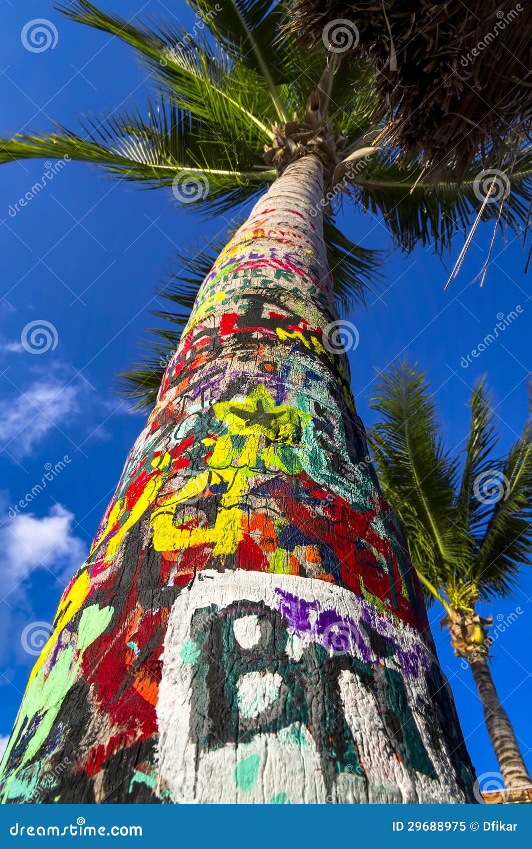 Tropical Graffiti Tree stock image. Image of trunk, messages - 29688975