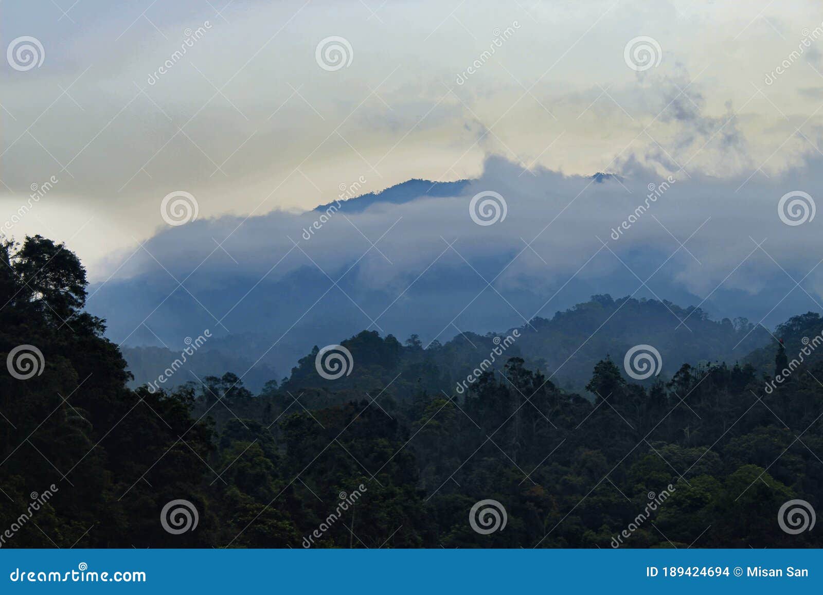 Tropical Green Forest in West Java Indonesia Stock Photo - Image of ...