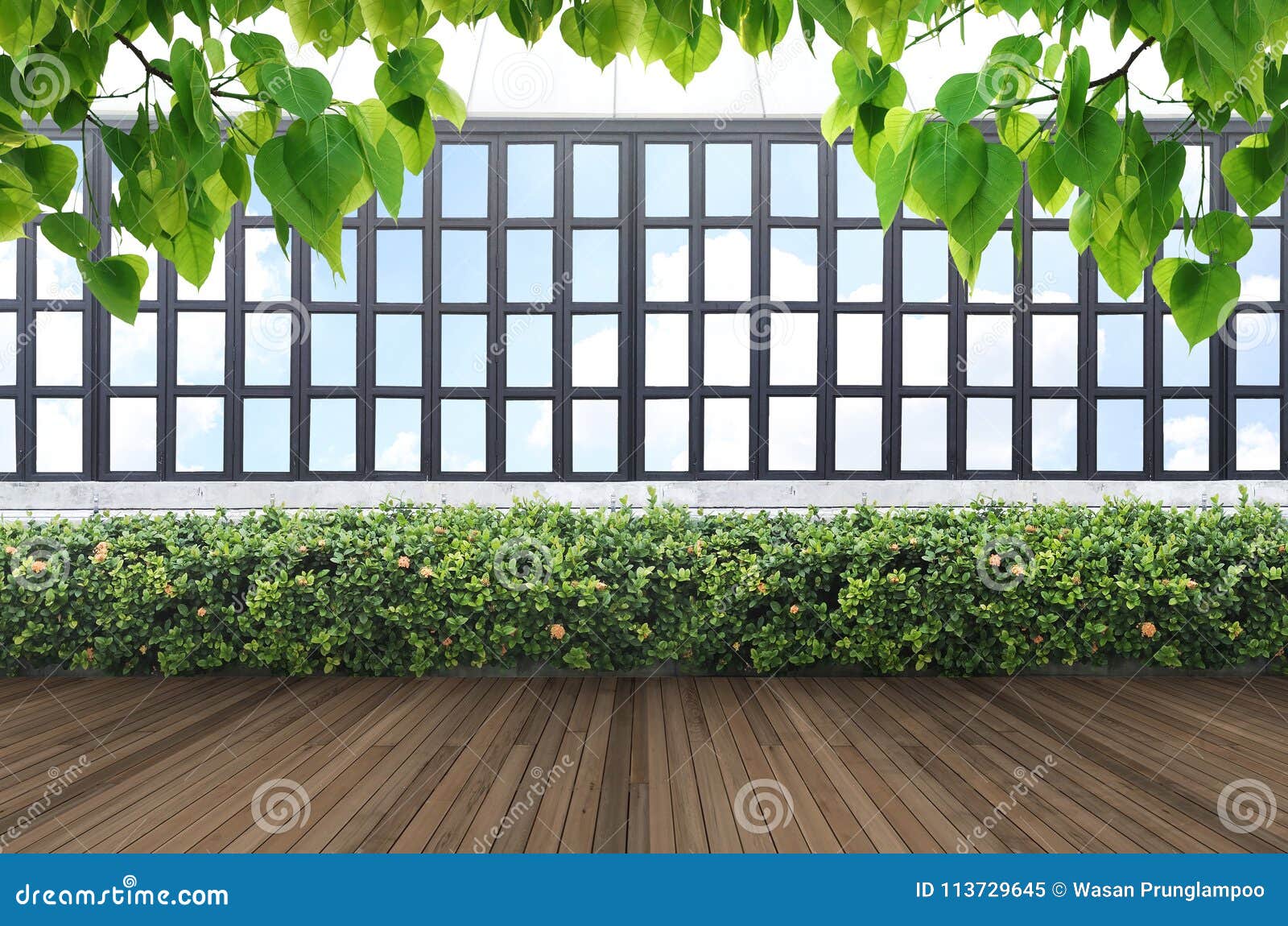 Tropical Green Leaf Wall and Window Frame with Clipping Path. Stock ...