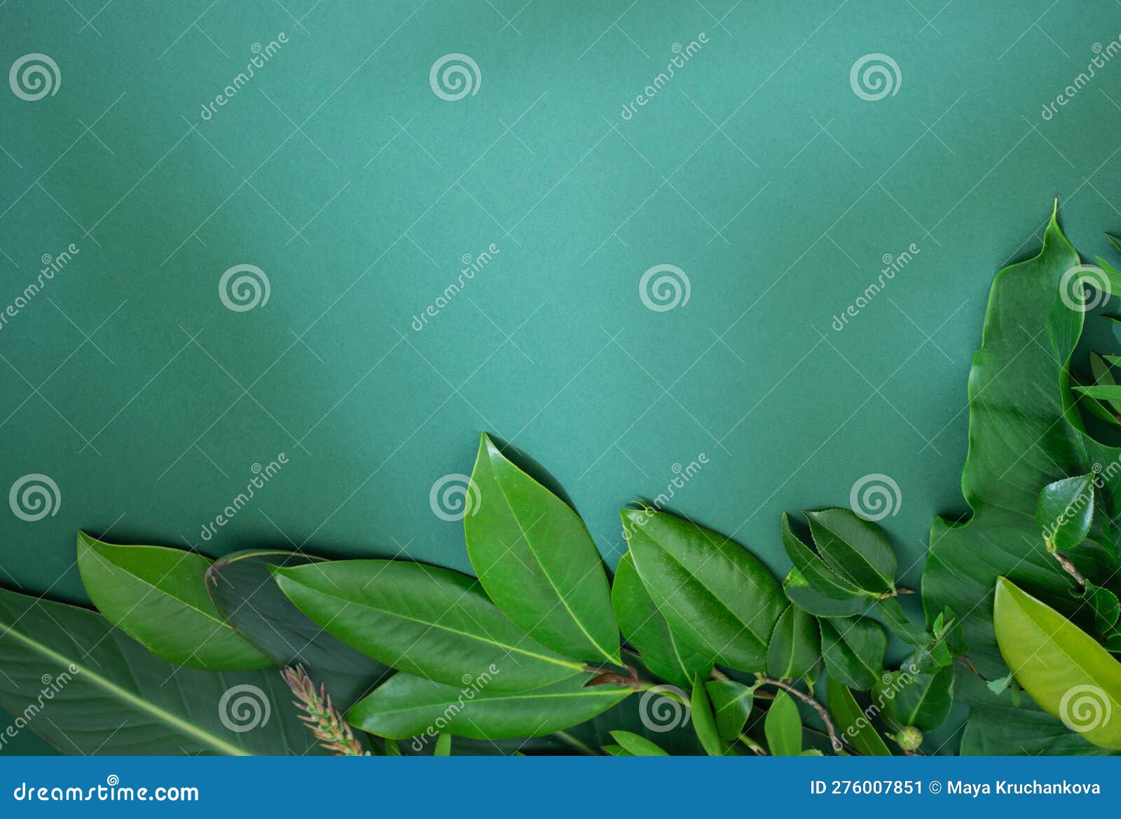 Tropical Green Leaves on Green Background Stock Image - Image of ...