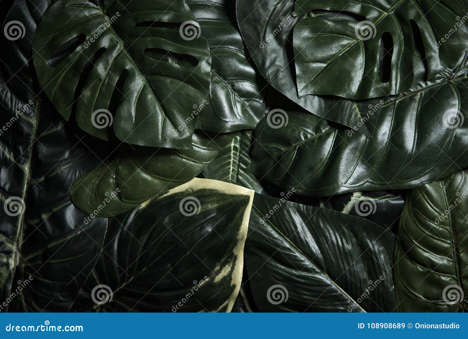 Tropical Green Leaves Composition Background Stock Image - Image of ...