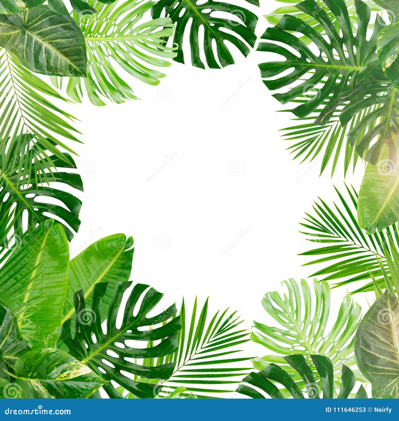 Tropical green leaves stock image. Image of fashion - 111646253 Tropical green leaves stock image. Image of fashion - 111646253