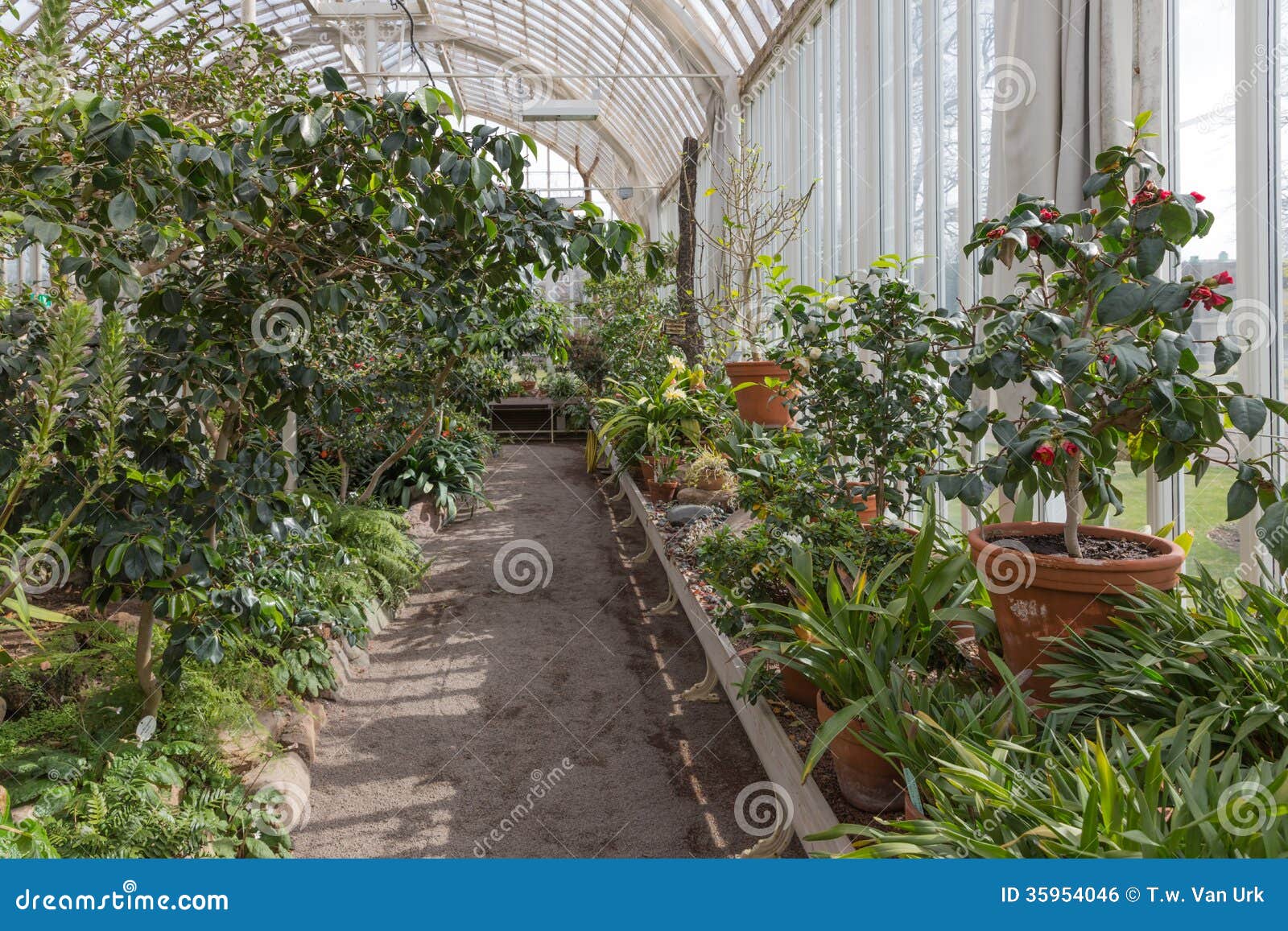 Tropical Greenhouse with Plants and Cactuses Stock Photo - Image of ...