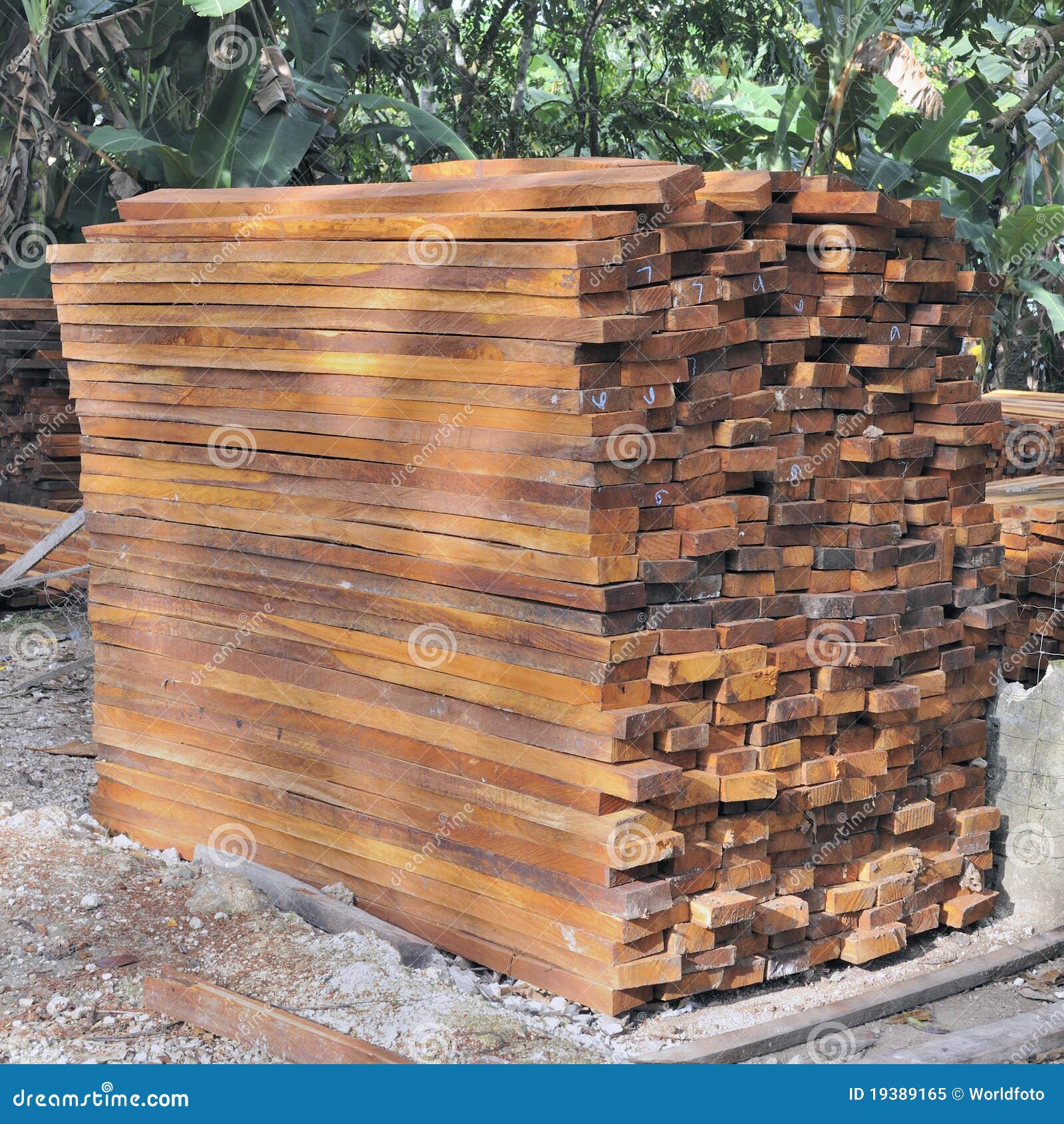 Tropical hardwood timber stock image. Image of timber - 19389165