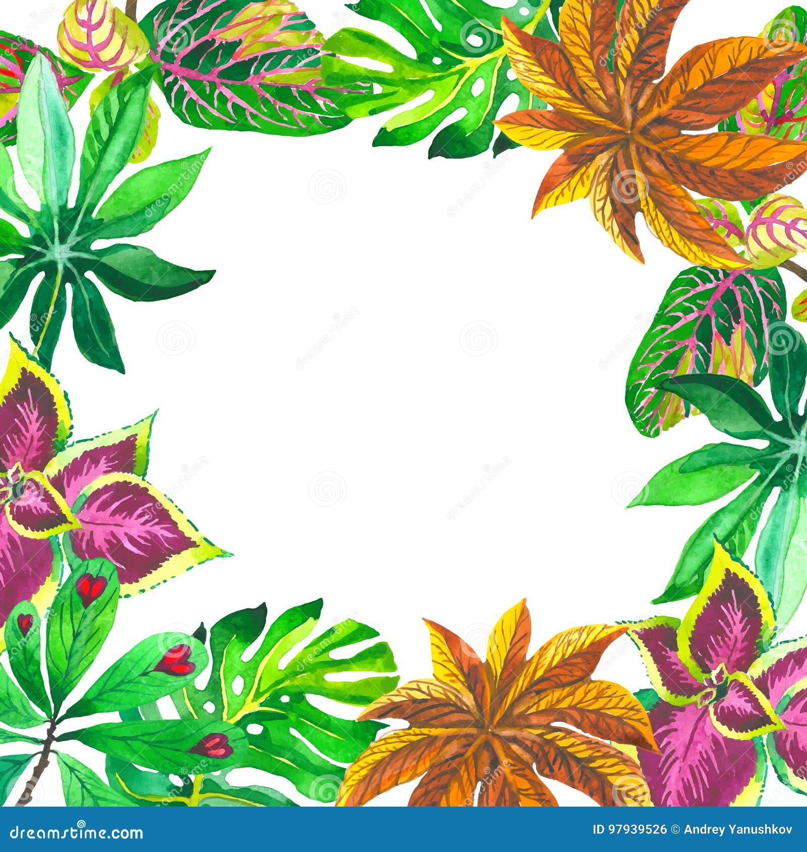 Tropical Hawaii Leaves Palm Tree Frame in a Vector Style. Stock Vector ...