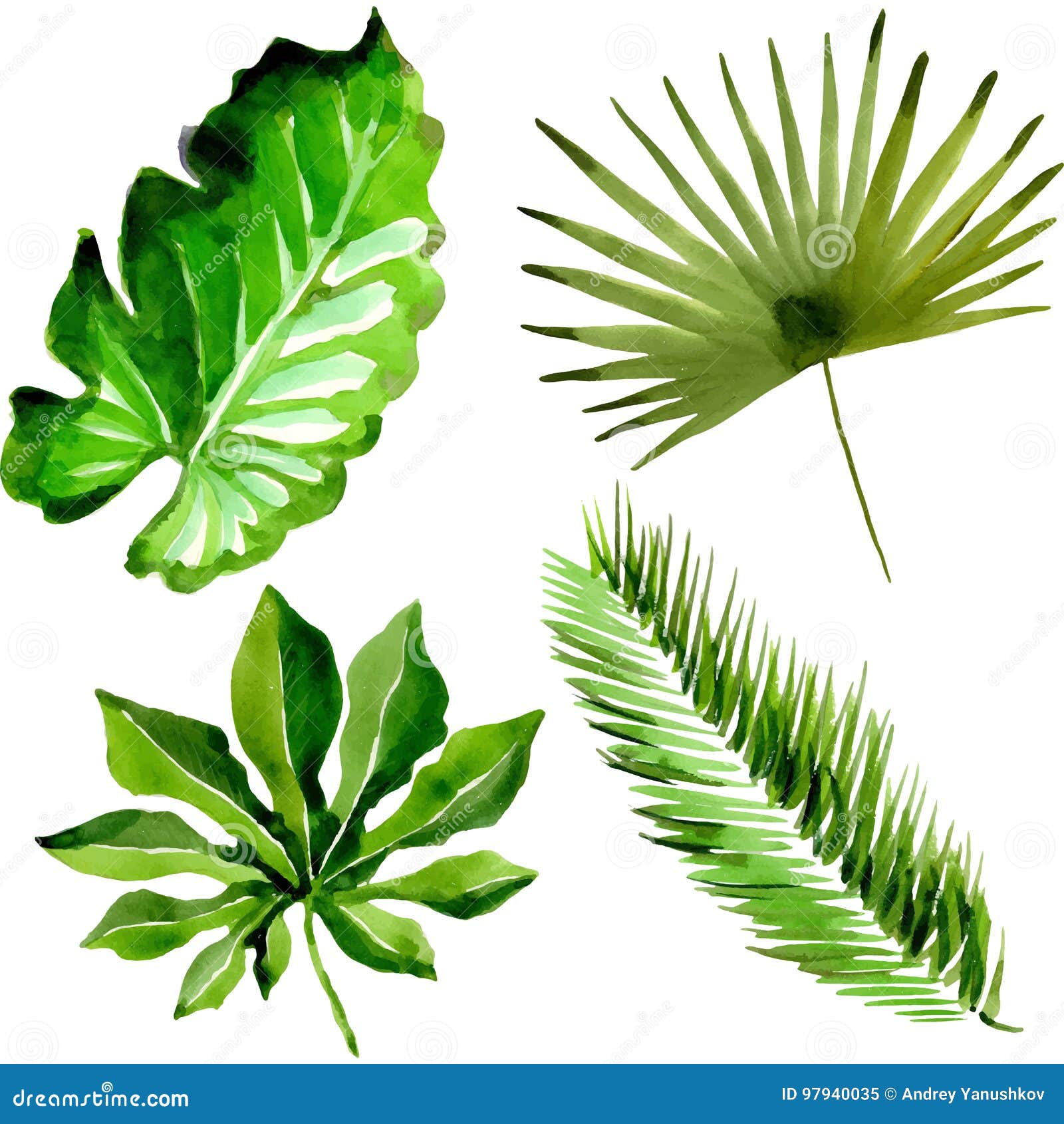 Tropical Hawaii Leaves Palm Tree in a Vector Style Isolated. Stock ...