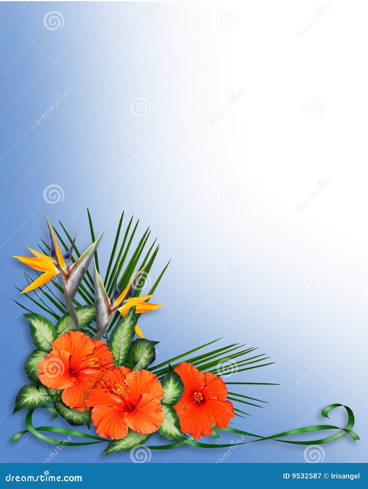 Tropical Page Border