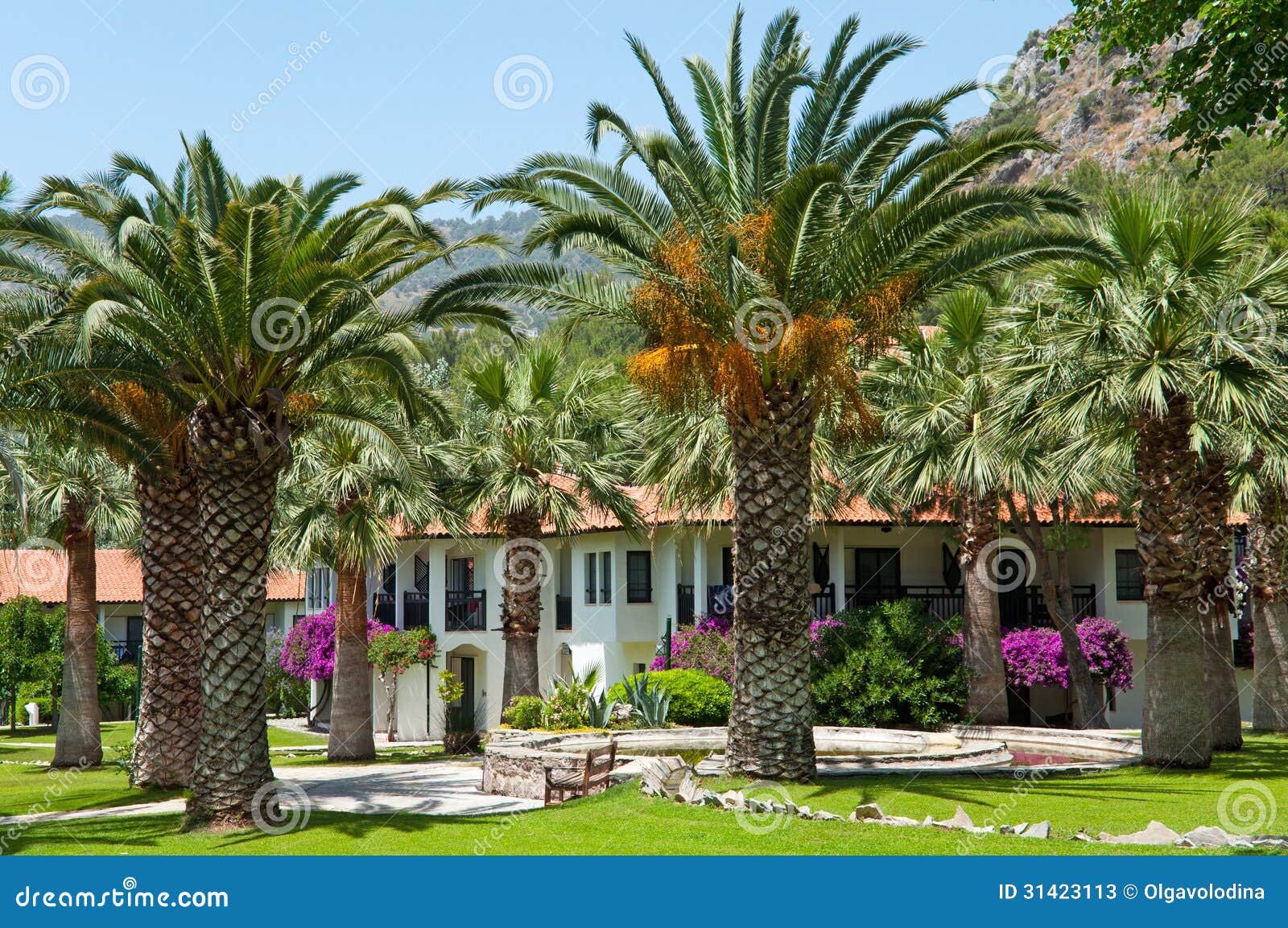 Tropical Hotel with Palm Trees Stock Image - Image of tree, holiday ...