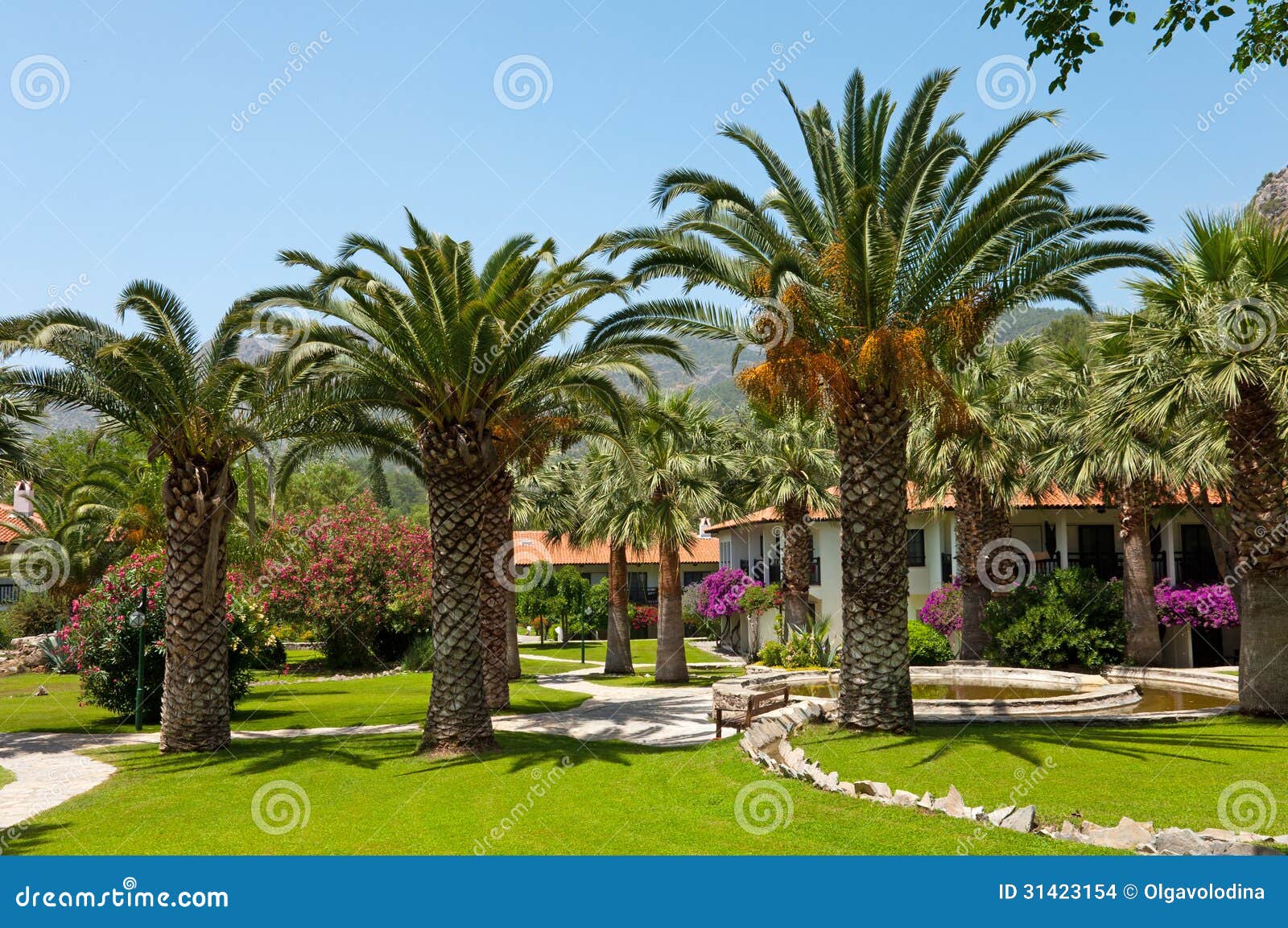 Tropical Hotel with Palm Trees Stock Photo - Image of east, holiday ...