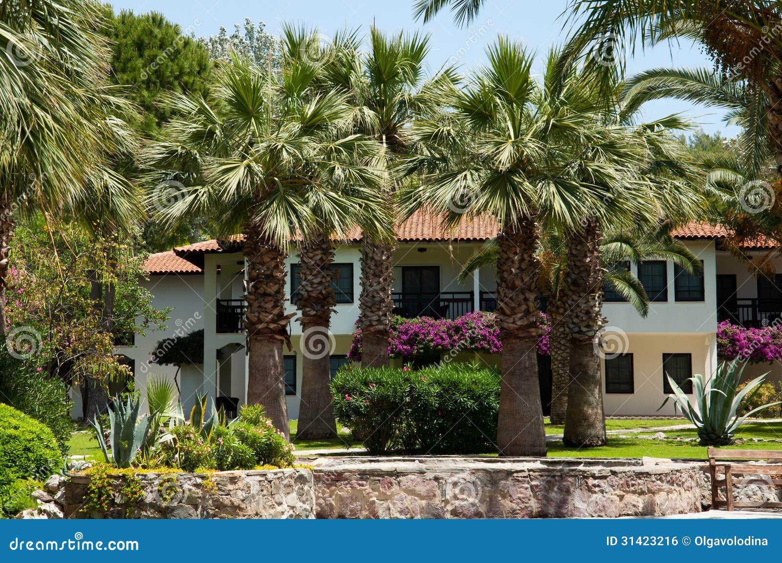 Tropical Hotel with Palm Trees Stock Photo - Image of middle, exotic ...