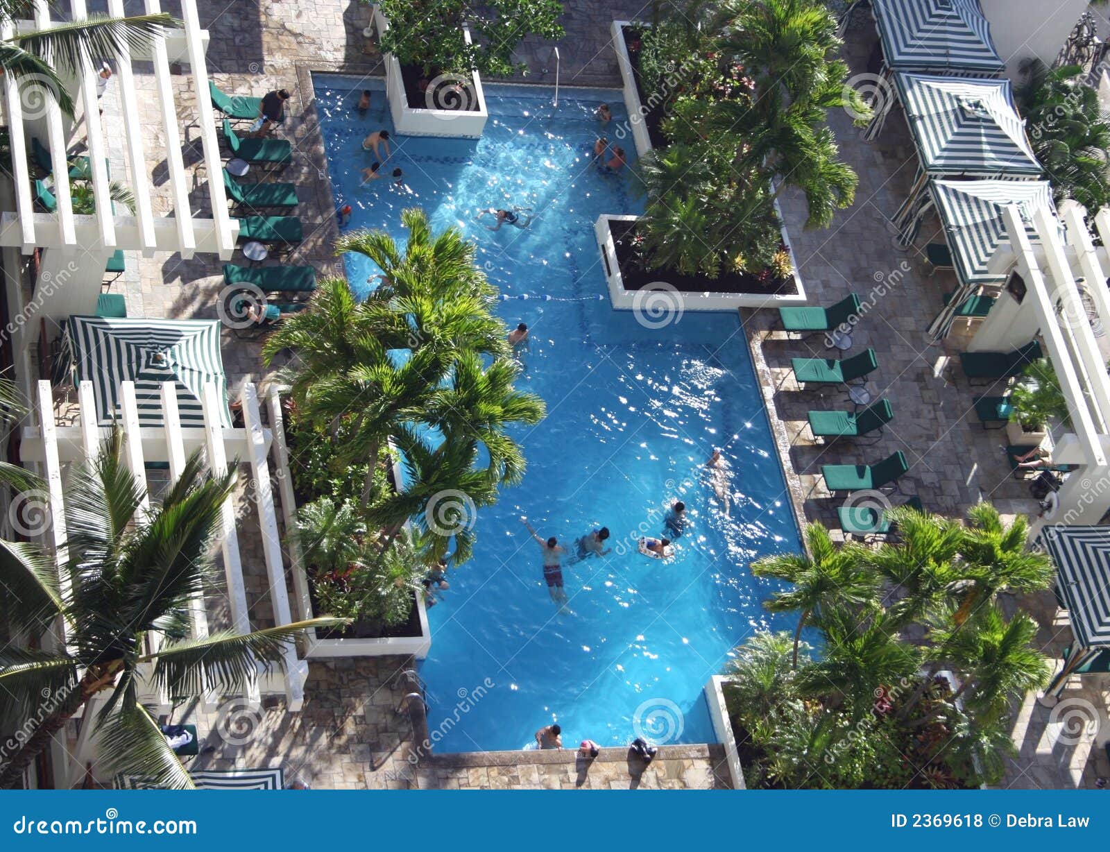 Tropical Hotel Pool stock photo. Image of swimming, tourists - 2369618