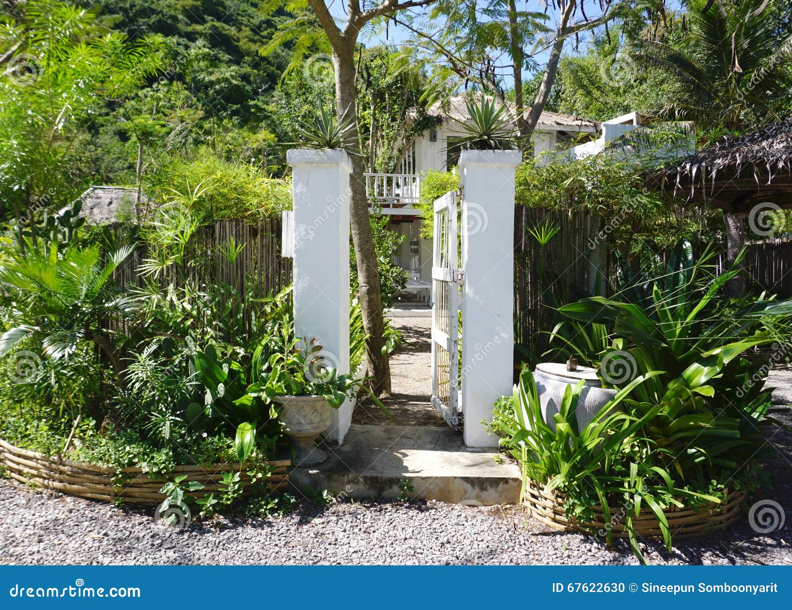 Tropical house gate stock photo. Image of tropical, landscape - 67622630