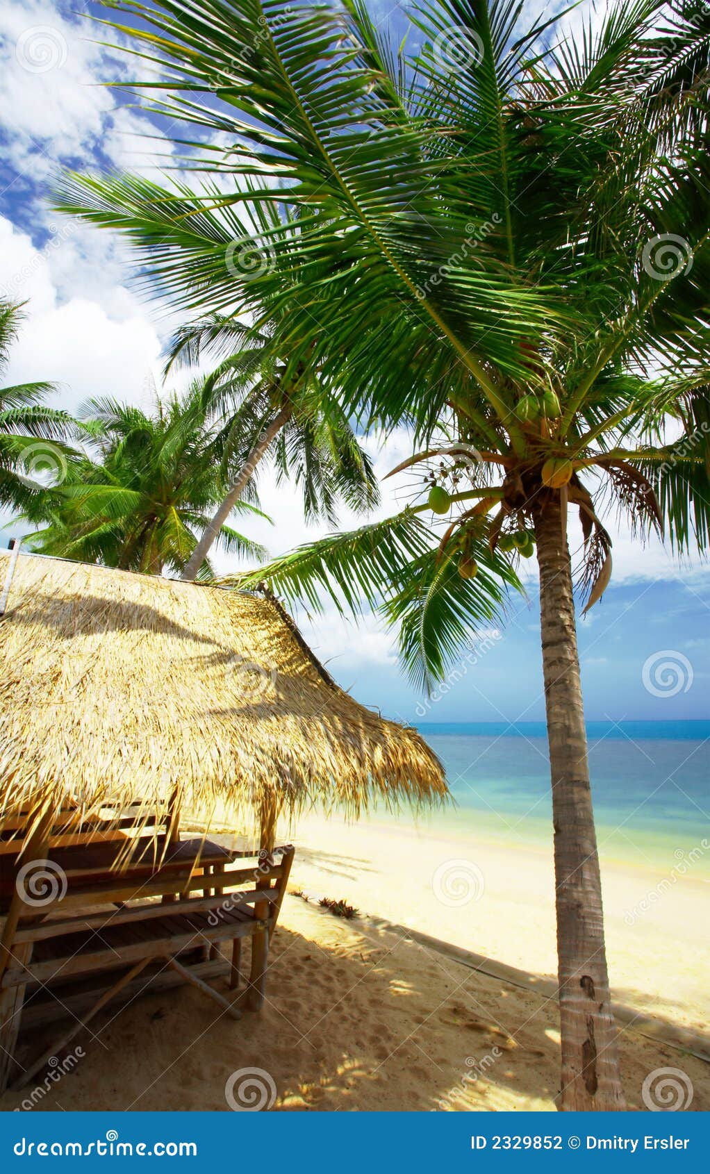 Tropical hut stock photo. Image of travel, shack, azure - 2329852