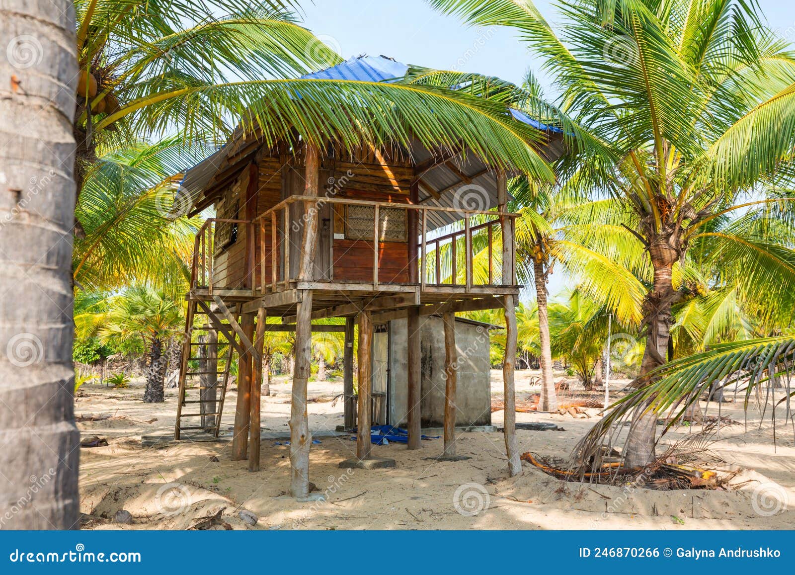 Tropical hut stock photo. Image of escape, serenity - 246870266