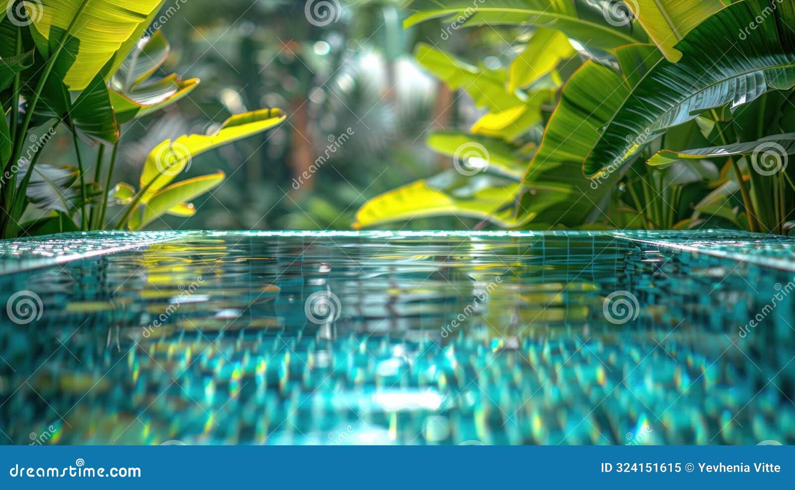 Tropical Infinity Pool with Lush Greenery and Sunlight Reflections ...