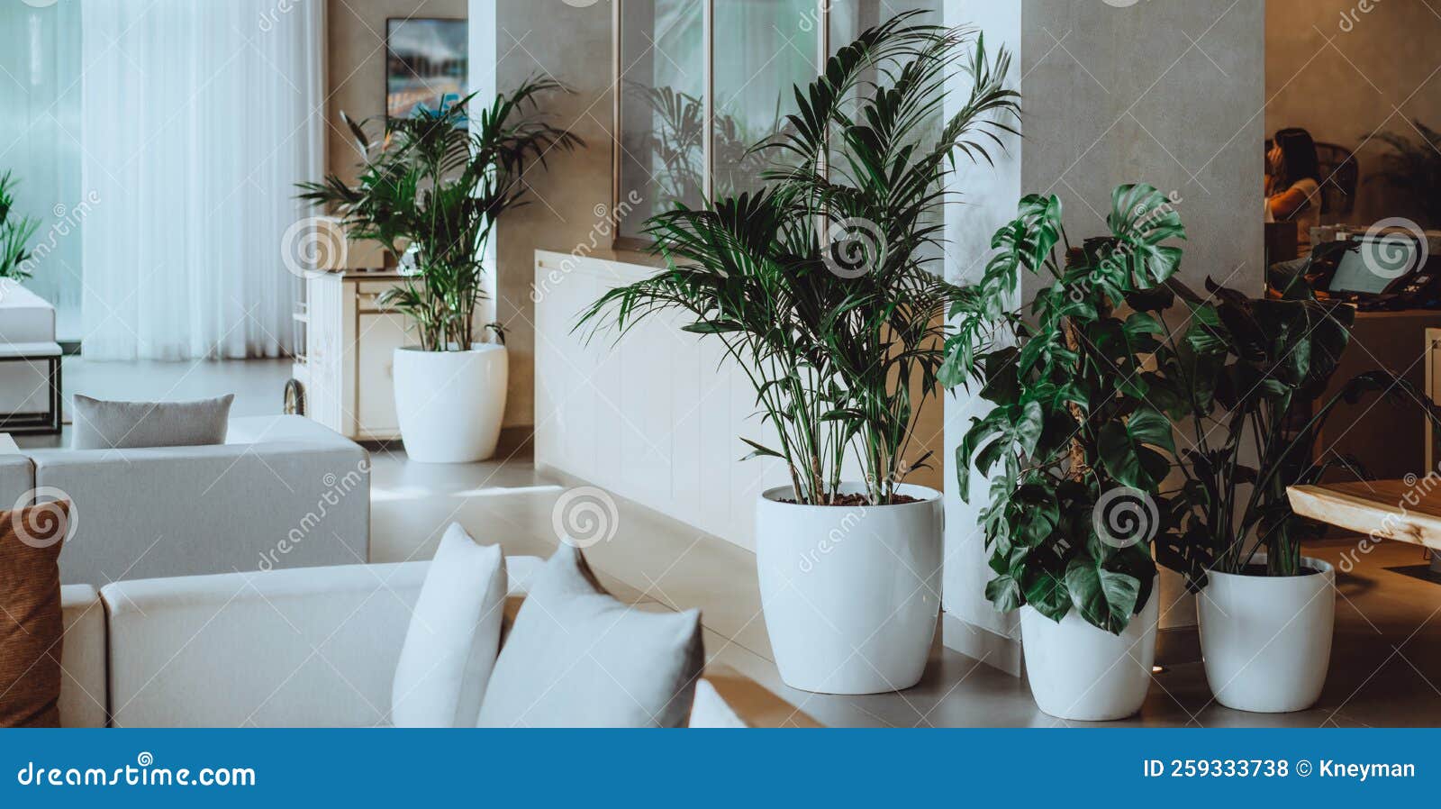 Tropical Interior with Palm Trees, Natural Materials, Beige Tones Stock ...