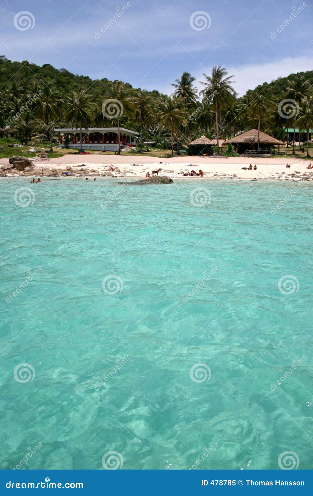 Tropical isand from water stock image. Image of water, sand - 478785