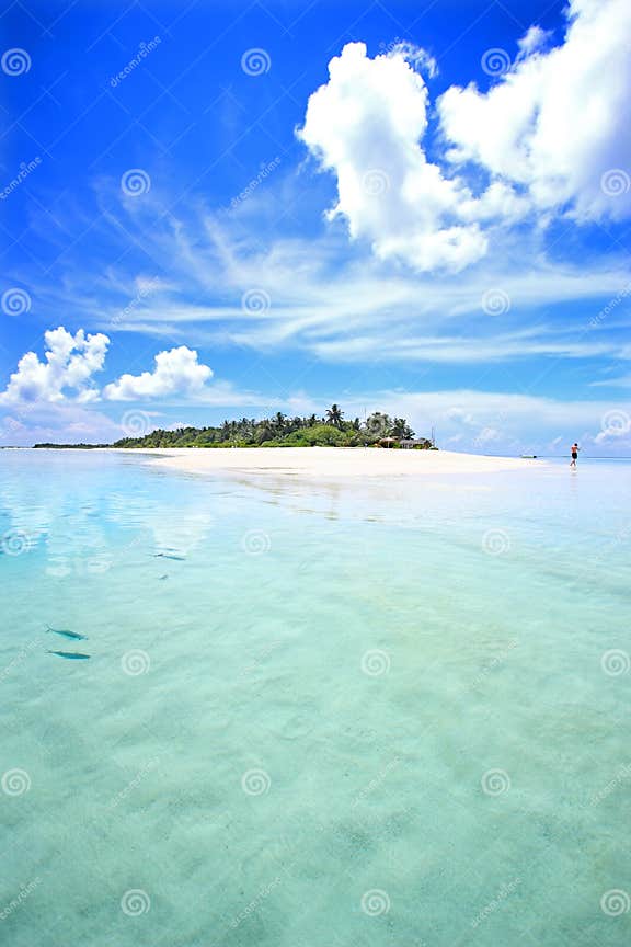 Tropical island stock image. Image of paradise, destination - 5495253