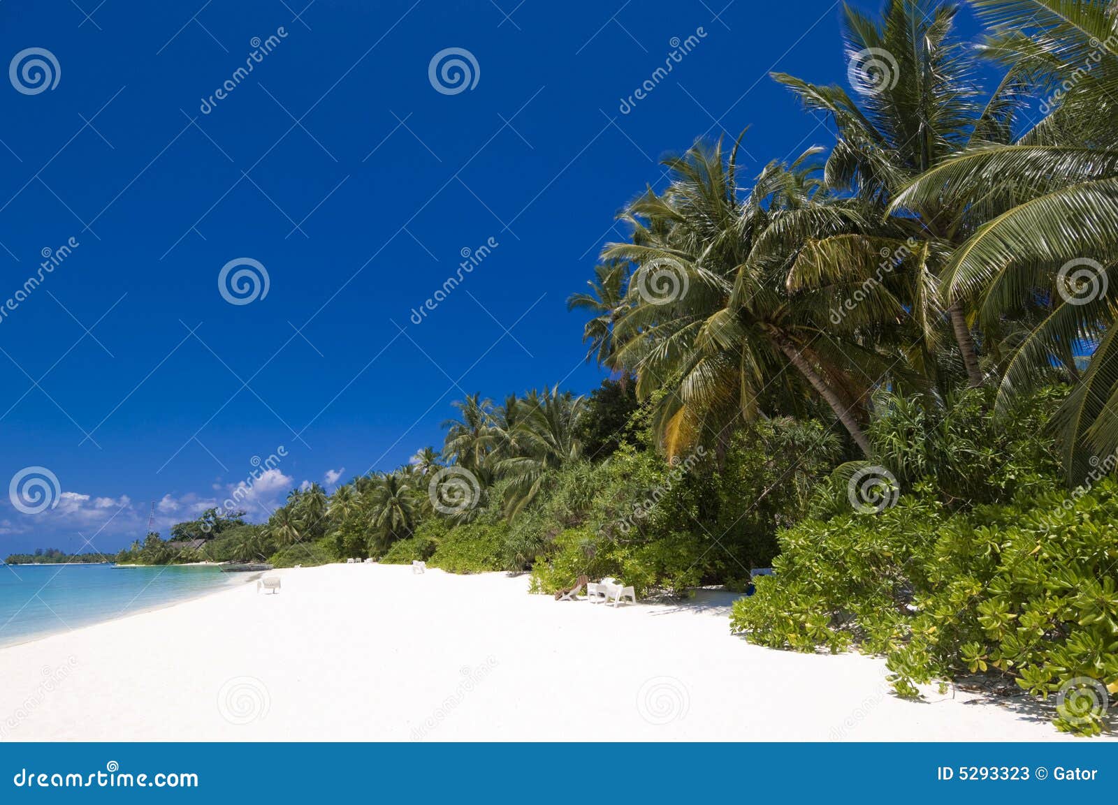 Tropical island beach stock image. Image of lonely, beach - 5293323