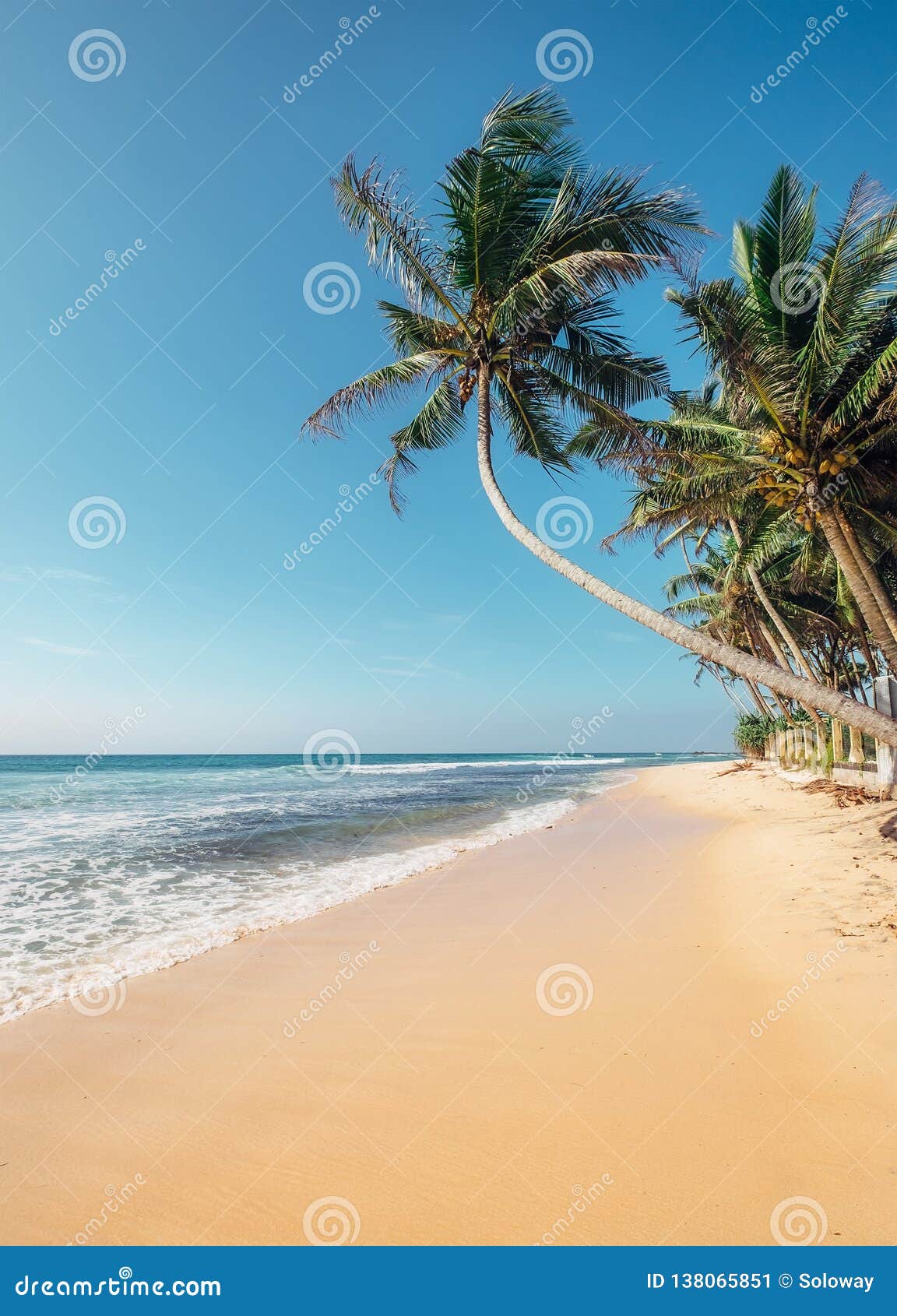 Tropical Island Beach White Sandy Classic View Ocean Vertical View ...